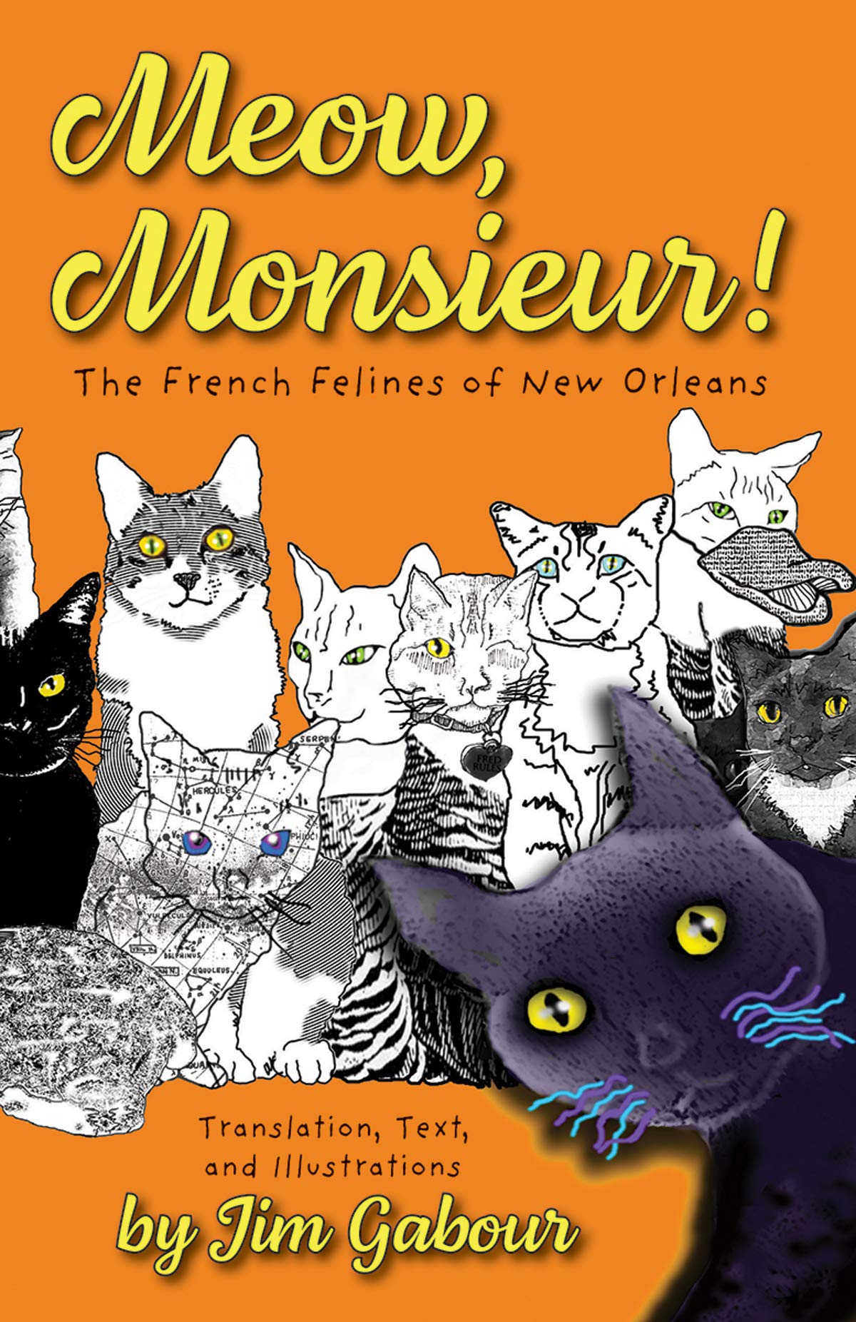 Meow, Monsieur!: The French Felines of New Orleans by Jim Gabour ...