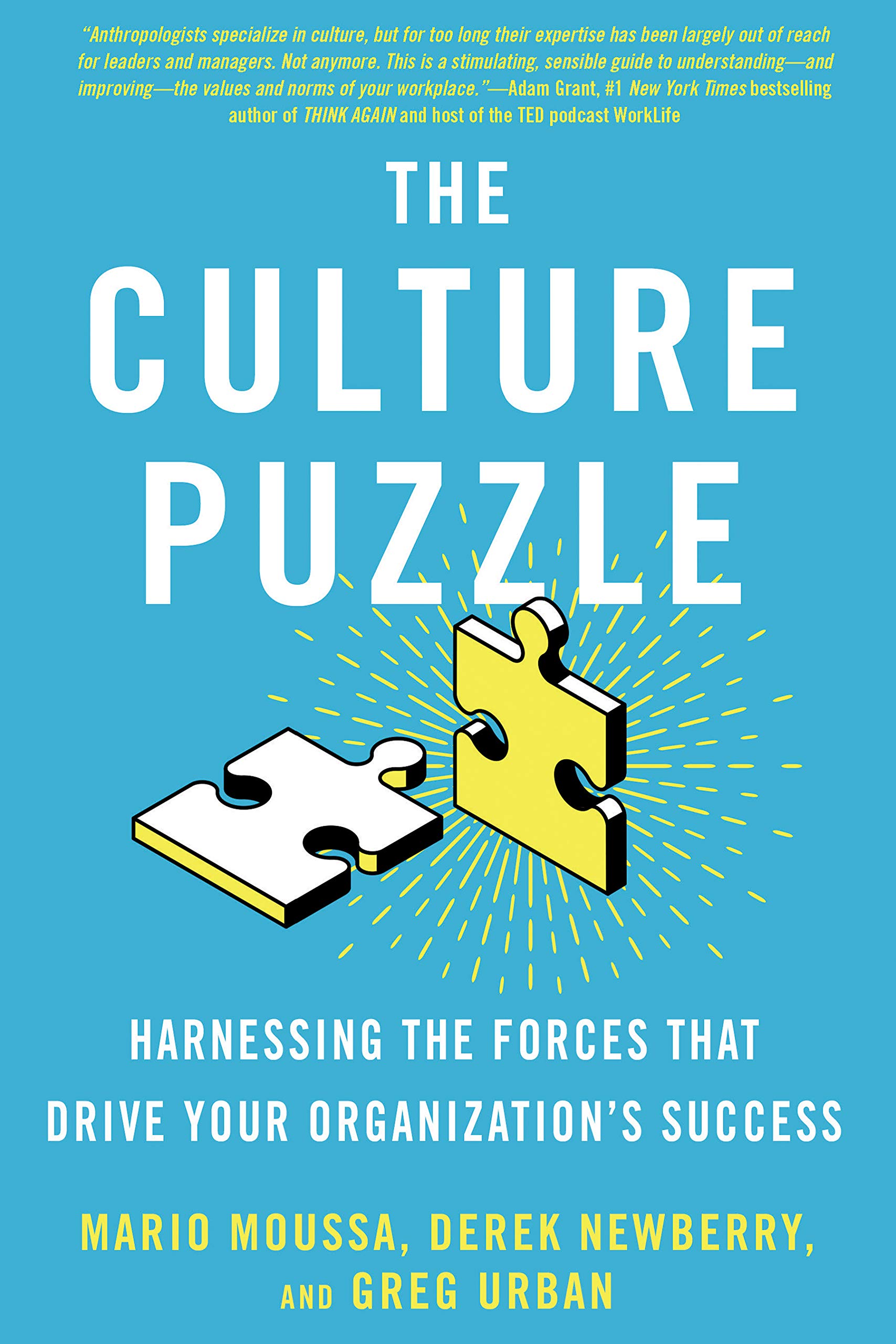 The Culture Puzzle: Harnessing the Forces That Drive Your Organization ...