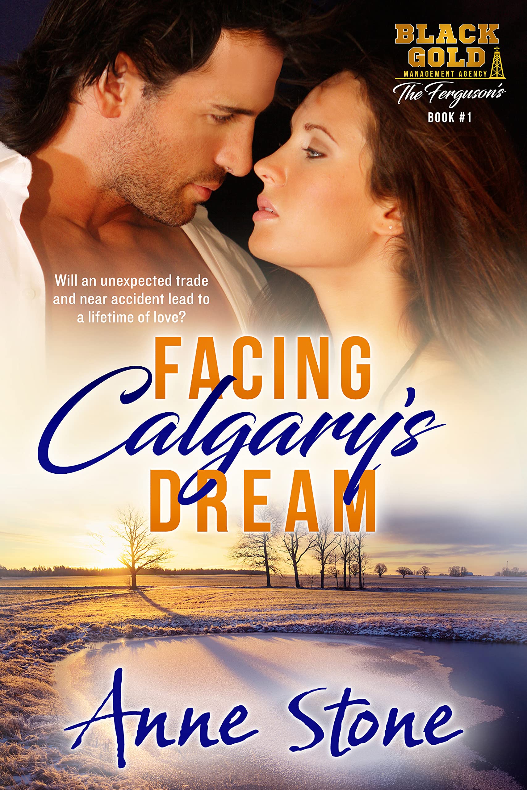 Facing Calgary's Dream: Accidental Meeting - Sweet Romance by Anne ...