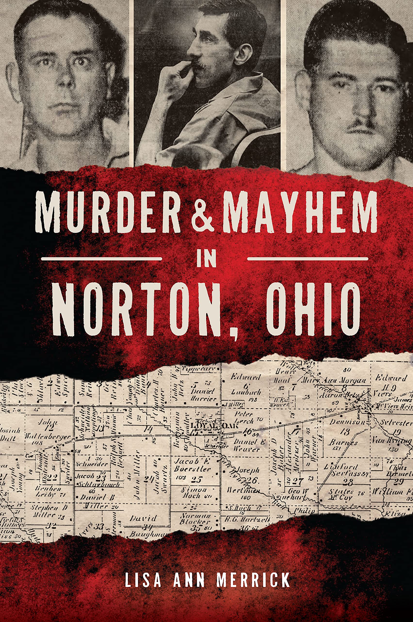 Murder & Mayhem in Norton, Ohio by Lisa Ann Merrick | Goodreads