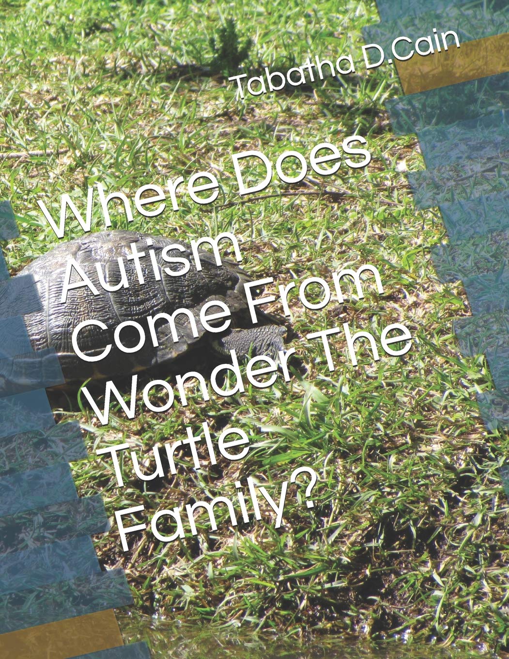 Where Does Autism Come From Wonder The Turtle Family? by Tabatha D ...