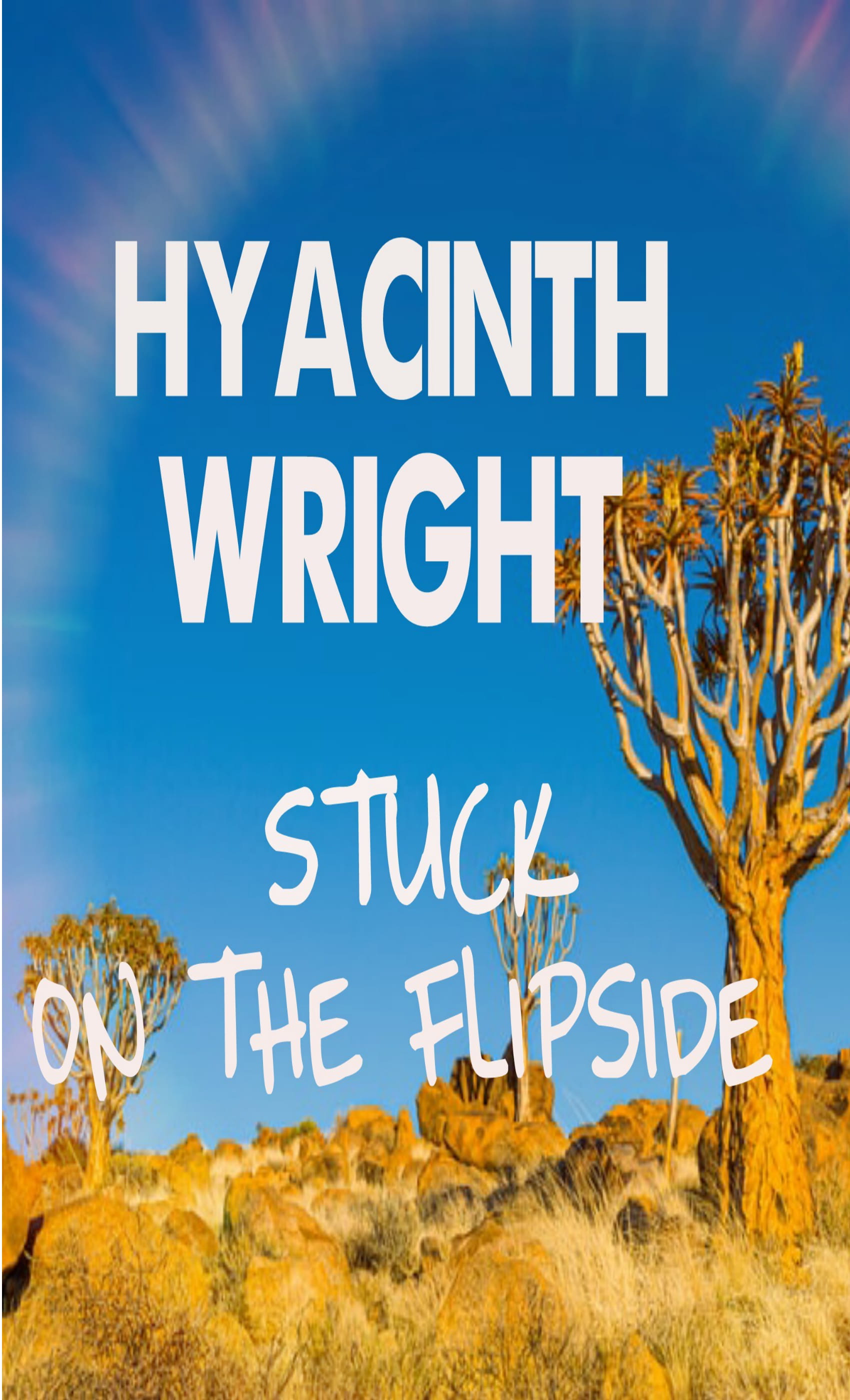 Stuck On The Flipside by Hyacinth Wright | Goodreads
