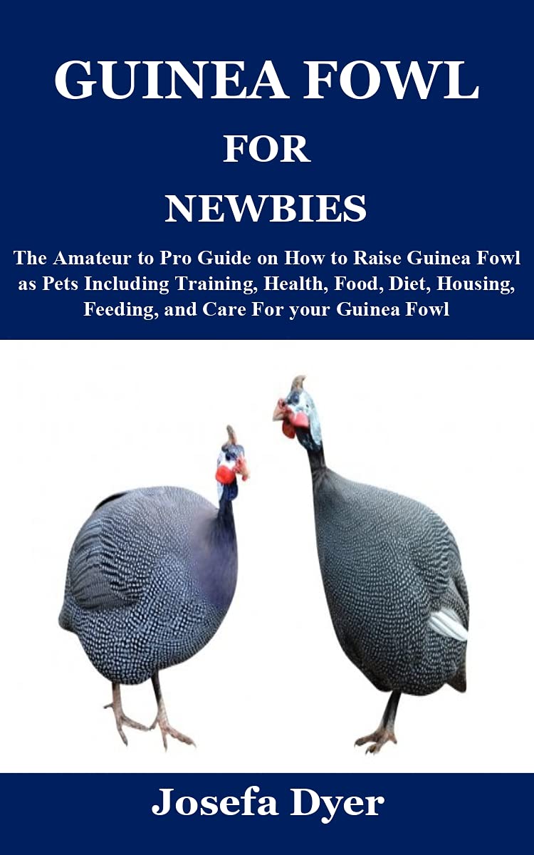 GUINEA FOWL FOR NEWBIES: The Amateur to Pro Guide on How to Raise ...