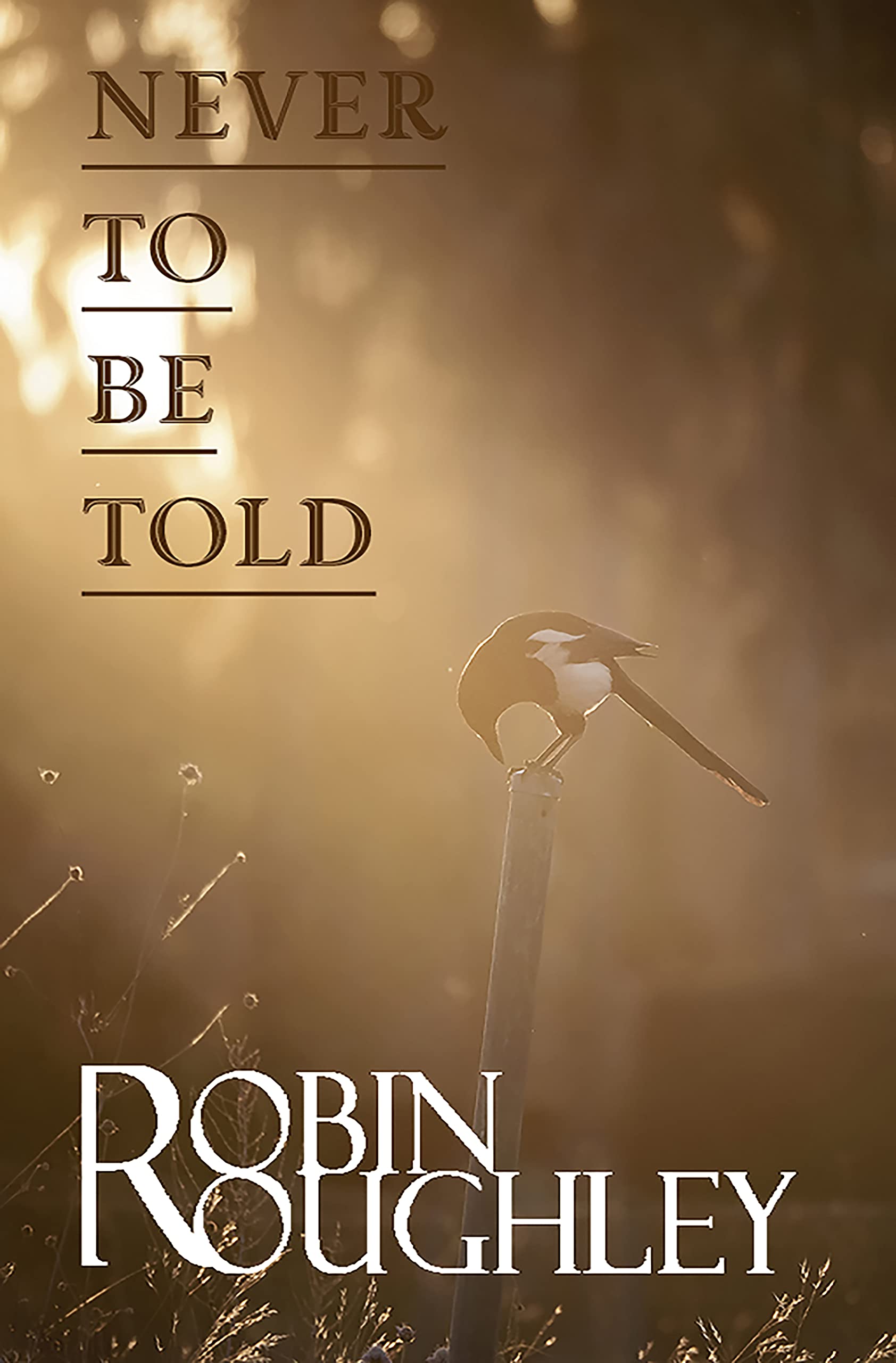 Never to be Told by Robin Roughley | Goodreads
