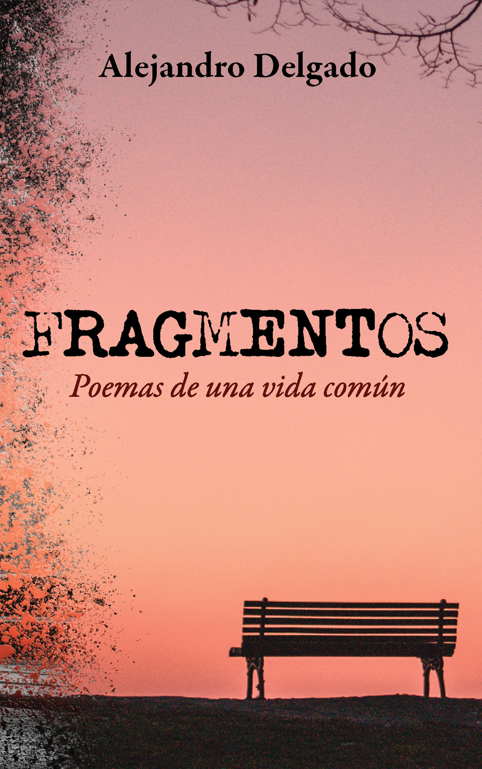 Fragmentos: Poemas de una vida común by Alejandro Delgado | Goodreads