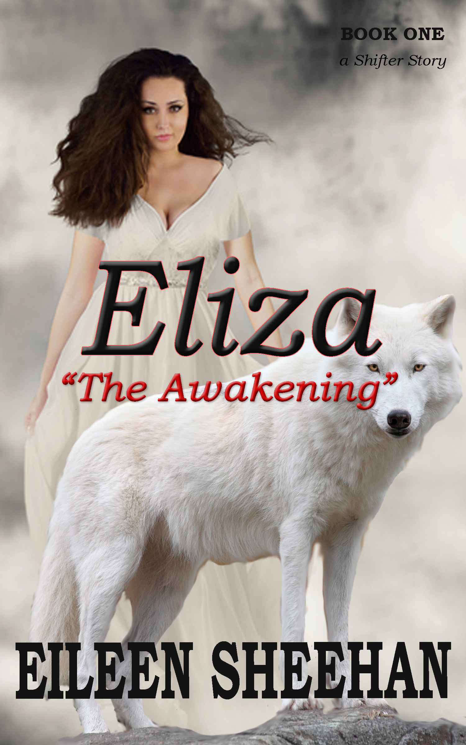 Eliza: The Awakening by Eileen Sheehan | Goodreads