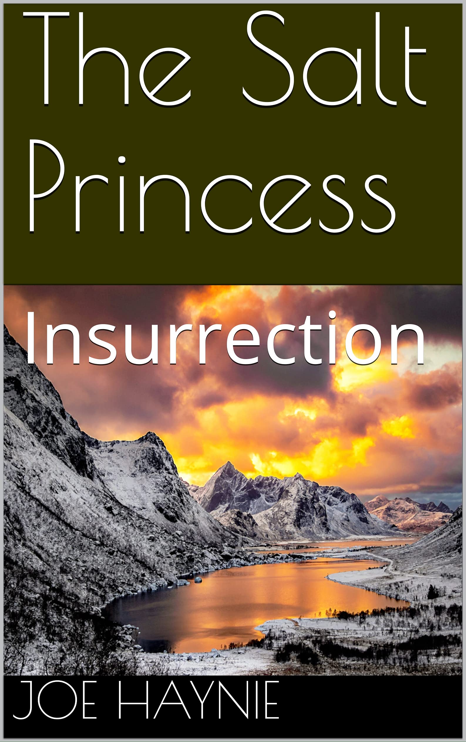 The Salt Princess: Insurrection by Joe Haynie | Goodreads