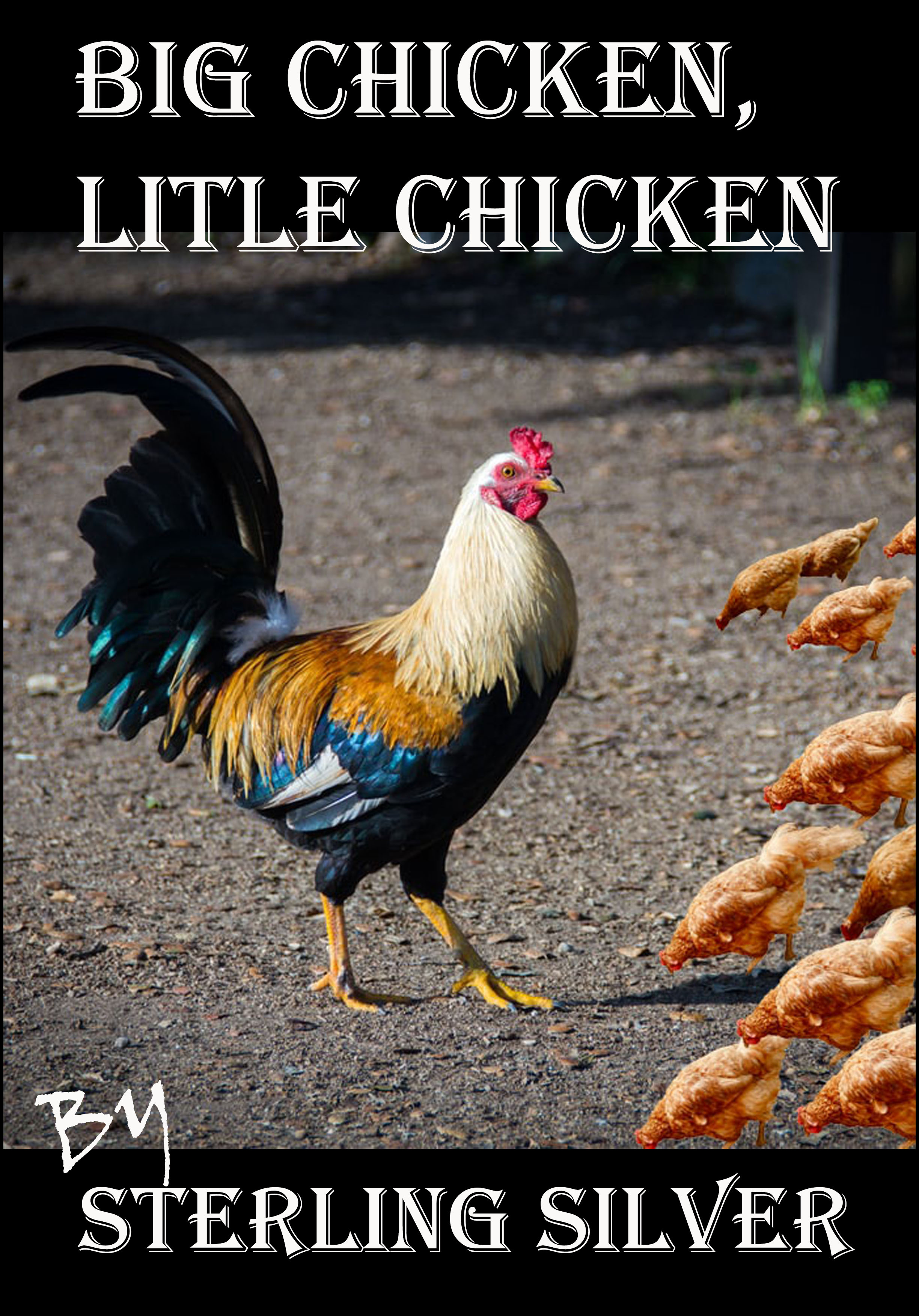 Big Chicken, Little Chicken by Sterling Silver | Goodreads