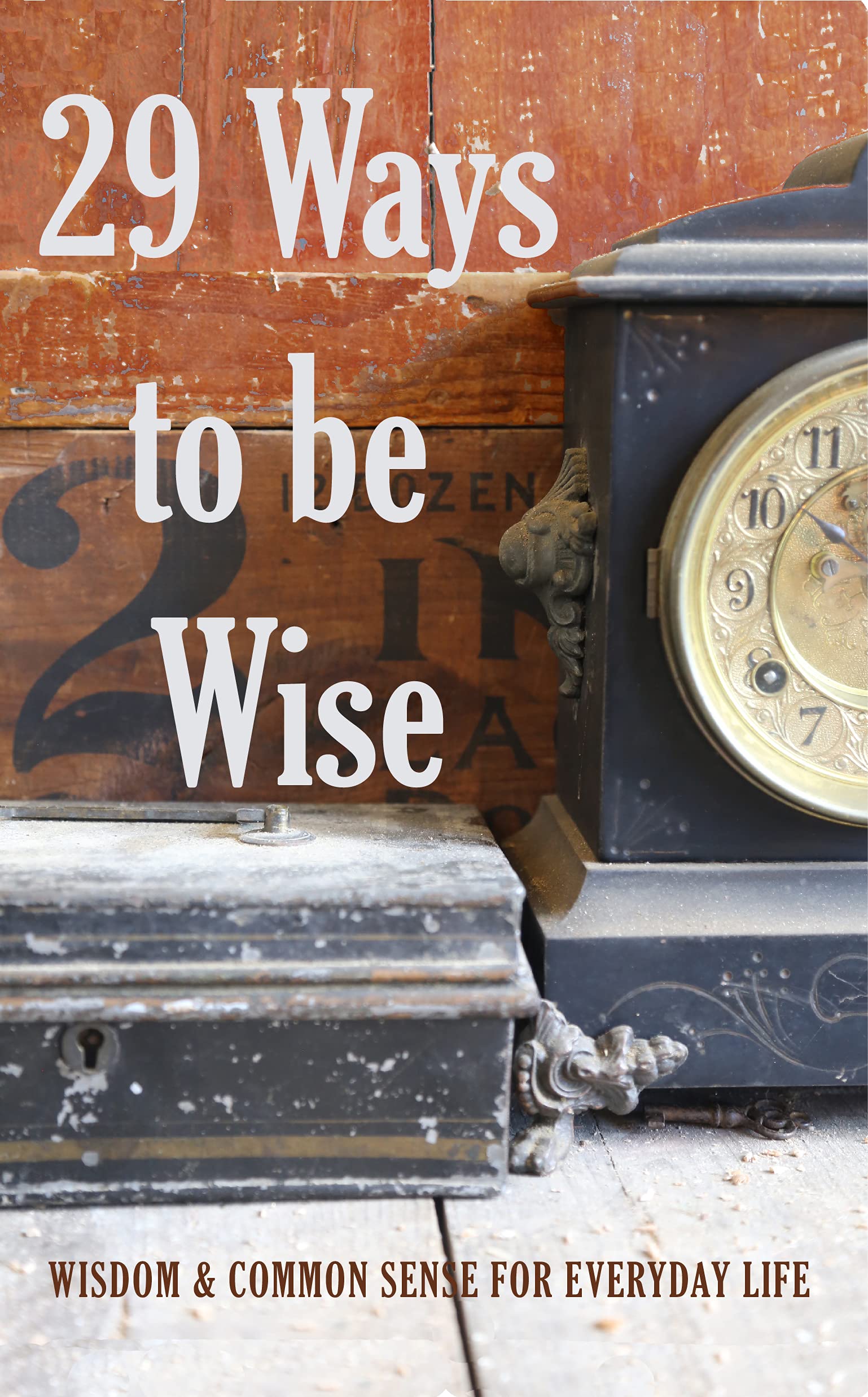 29 Ways to be Wise: WISDOM AND COMMON SENSE FOR EVERYDAY LIFE by Vance ...