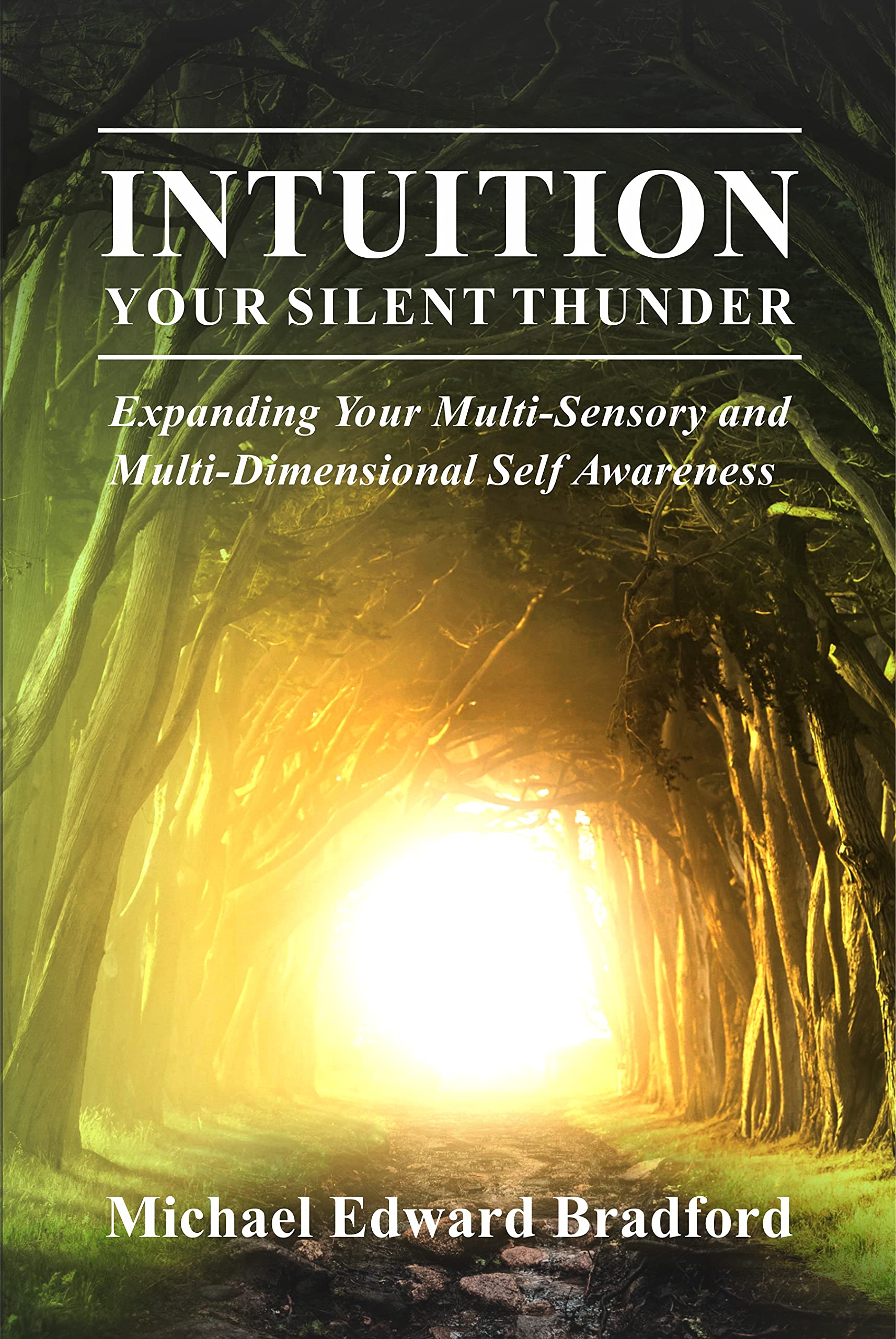 INTUITION: YOUR SILENT THUNDER: Expanding Your Multi-Sensory and Multi ...