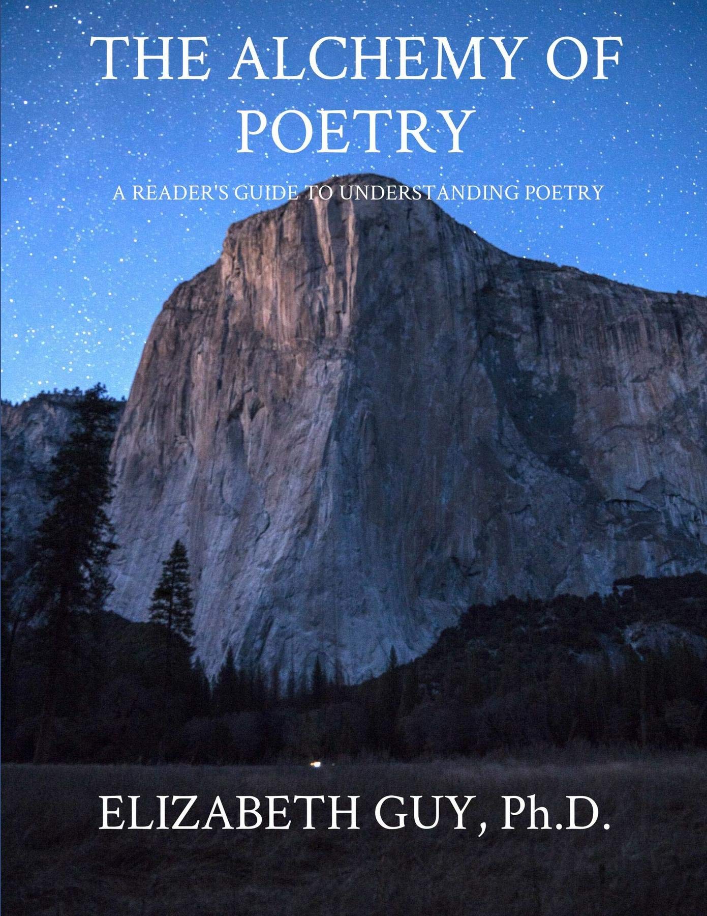 THE ALCHEMY OF POETRY: A READER'S GUIDE TO UNDERSTANDING POETRY by ...