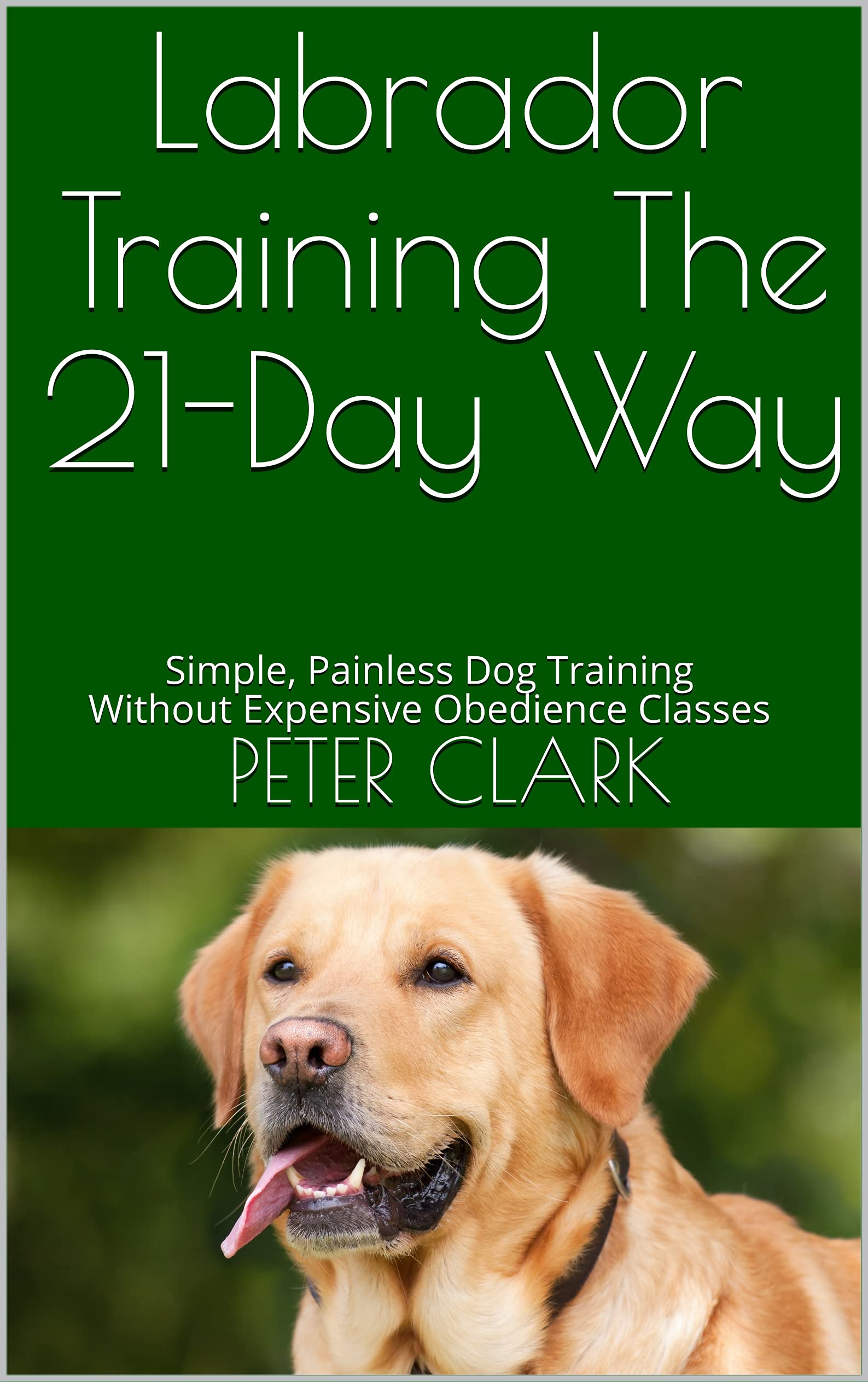 Labrador Training The 21-Day Way: Simple, Painless Dog Training Without ...