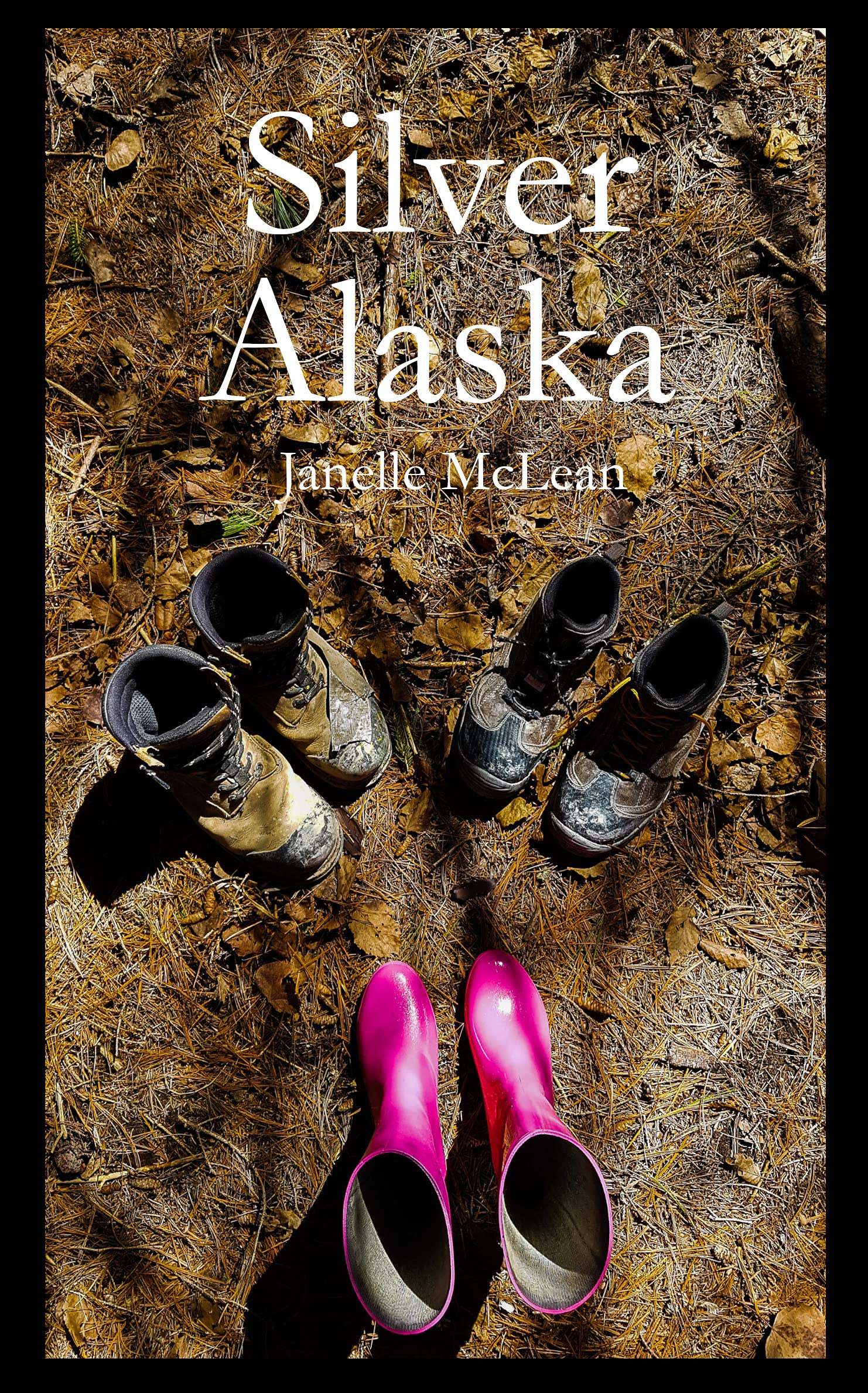 Silver Alaska (The Alaska Series Book 1) by Janelle McLean | Goodreads