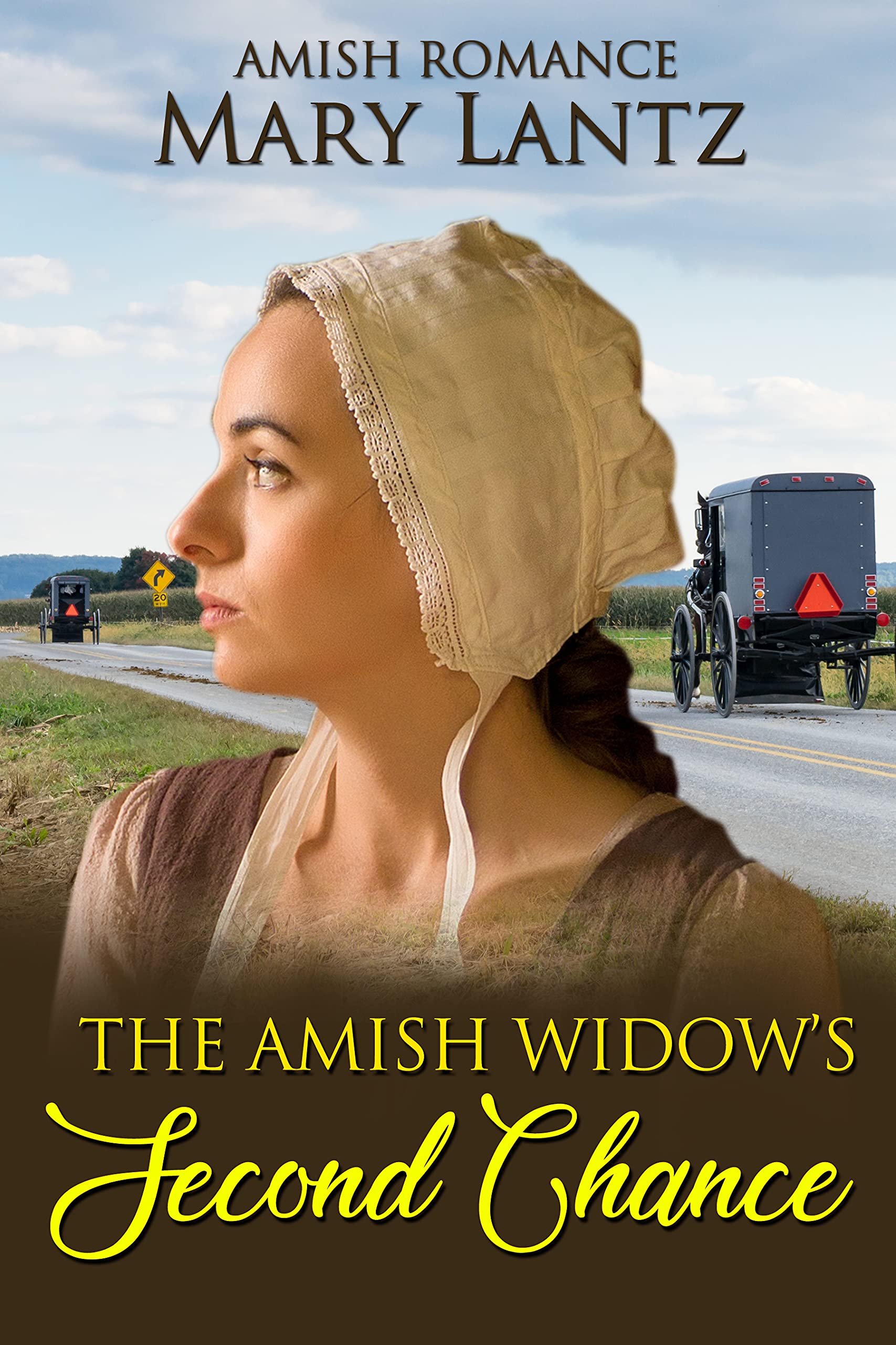 The Amish Widow's Second Chance by Mary Lantz | Goodreads