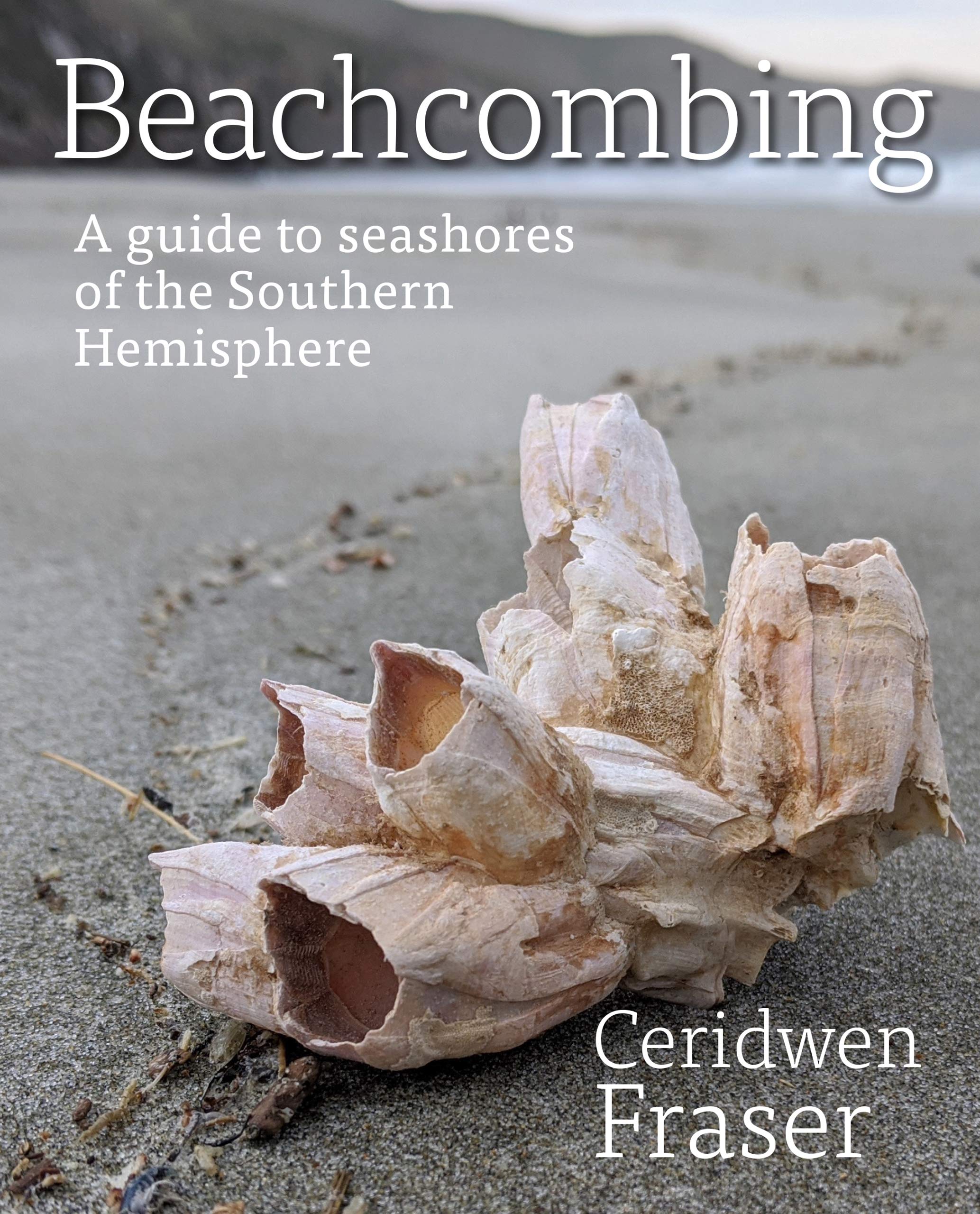 Beachcombing: A guide to seashores of the Southern Hemisphere by ...