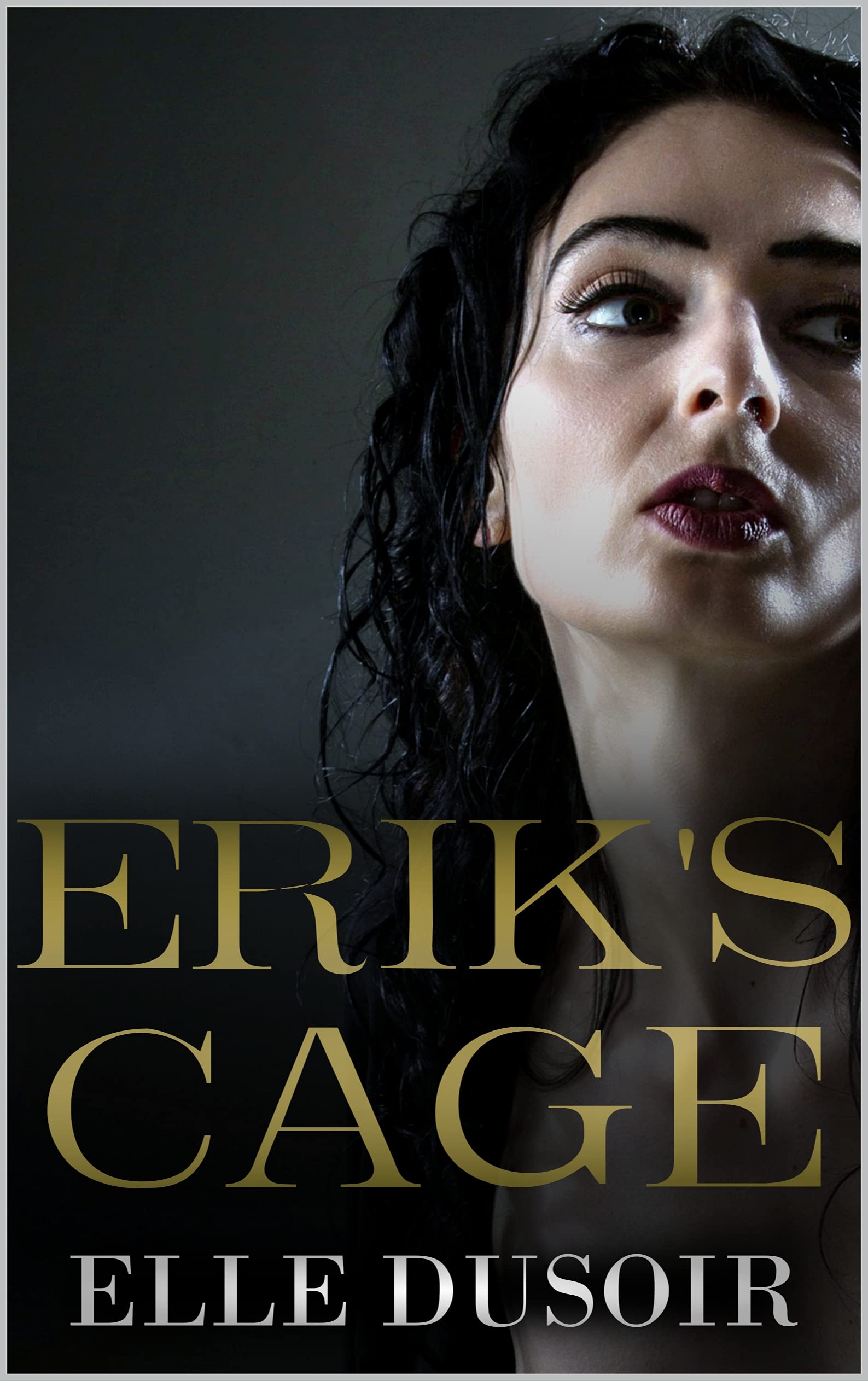 Erik's Cage by Elle Dusoir | Goodreads