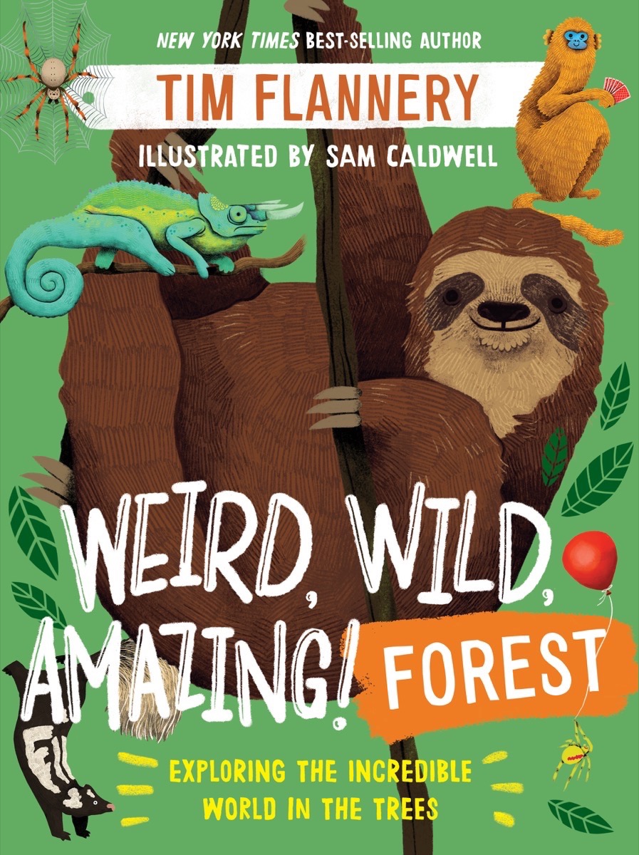 Weird, Wild, Amazing! Forest: Exploring the Incredible World in the ...