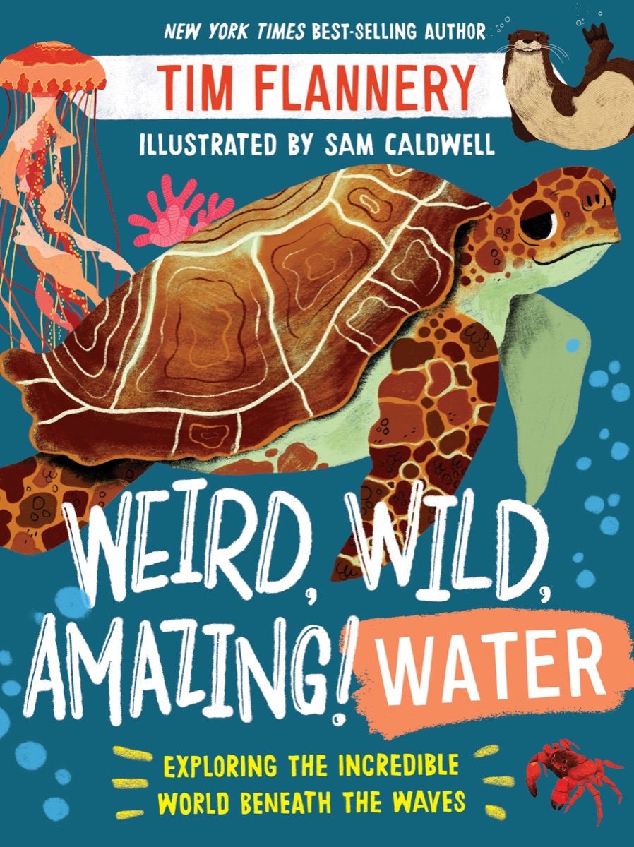 Weird, Wild, Amazing! Water: Exploring the Incredible World Beneath the ...