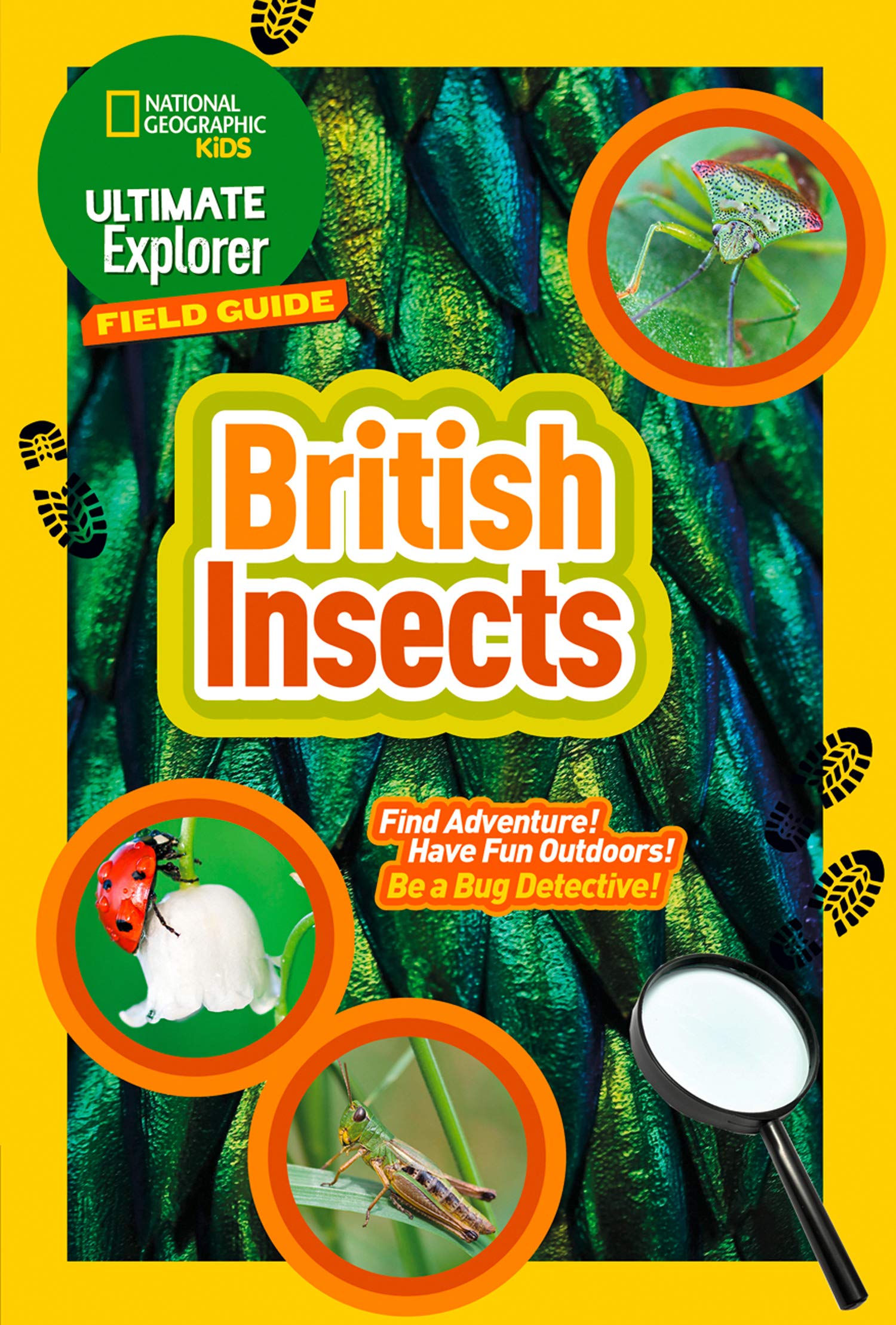Ultimate Explorer Insects by National Geographic Kids | Goodreads