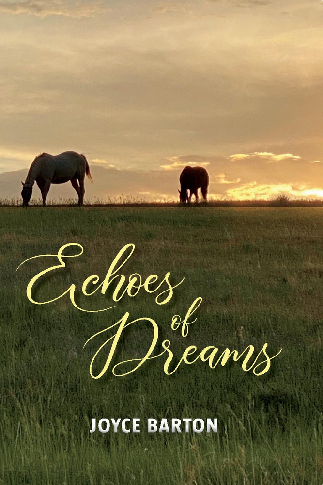 Echos of Dreams (2) (Home to Tomorrow) by Joyce Barton | Goodreads