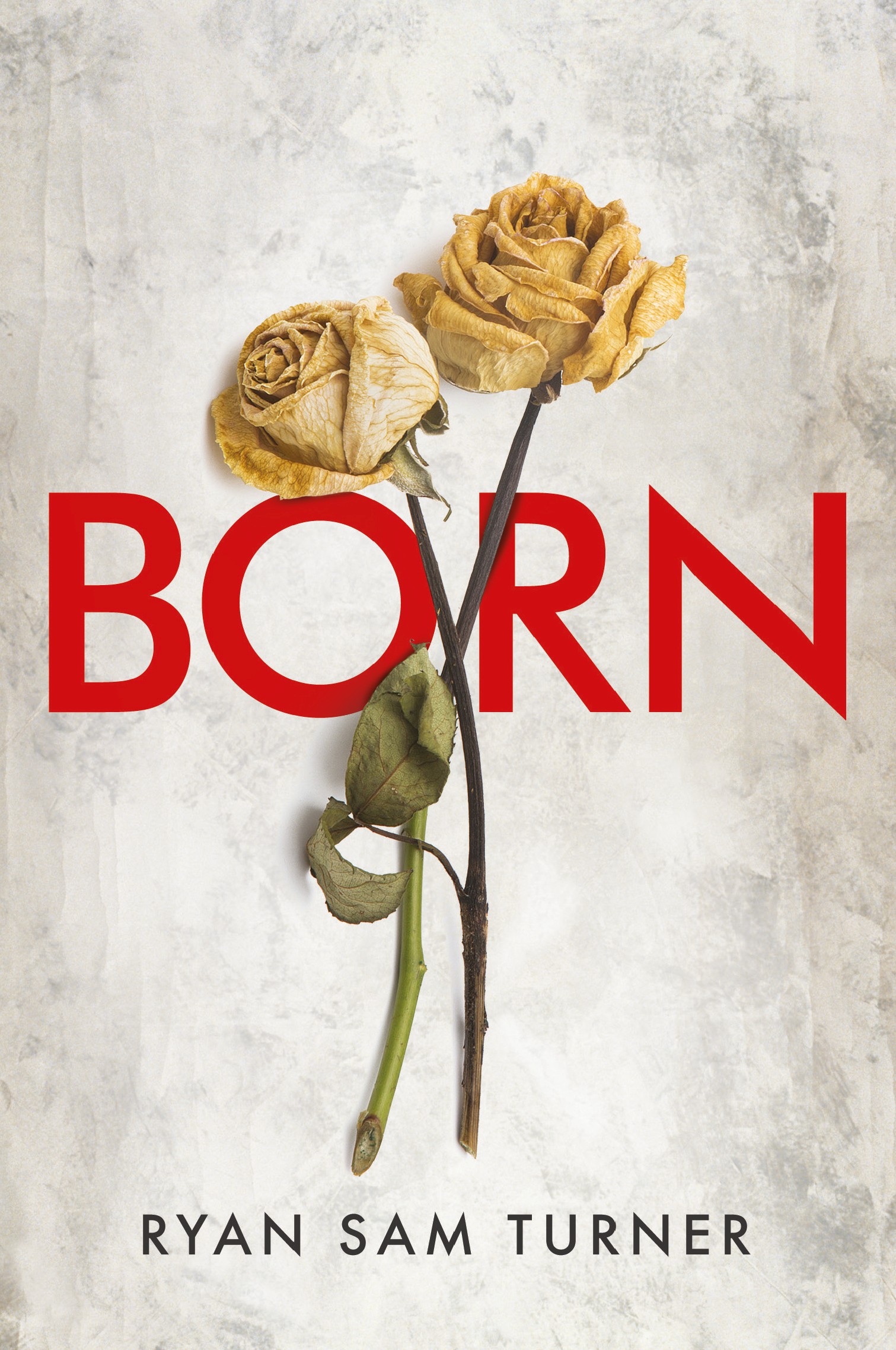 Born by Ryan Sam Turner | Goodreads