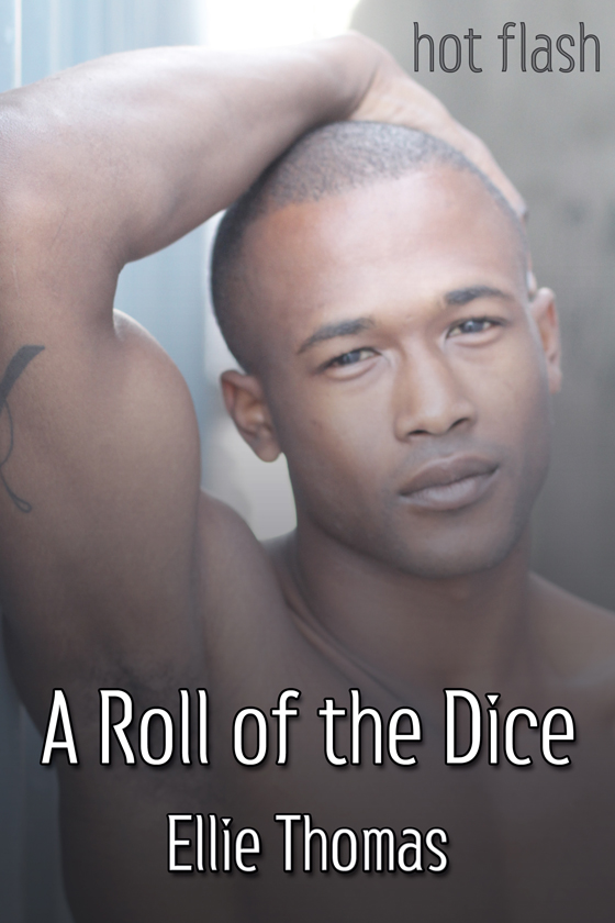 A Roll of the Dice (Roll of the Dice, #1) by Ellie Thomas | Goodreads