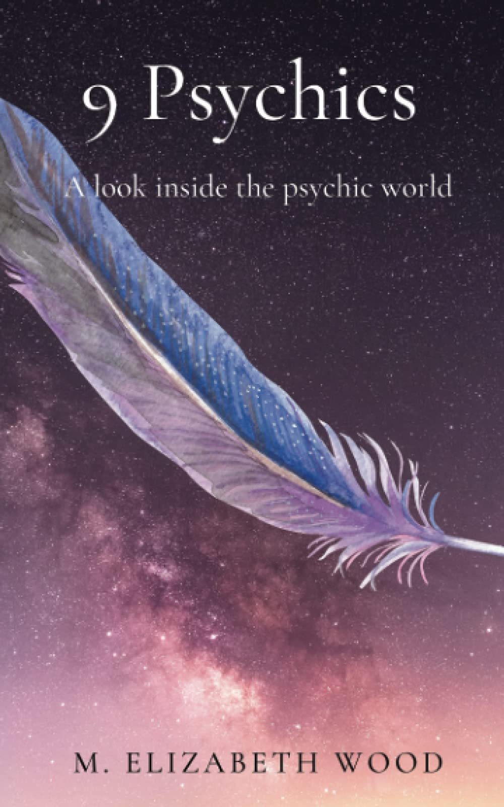 9 Psychics: A look inside the psychic world by M Elizabeth Wood | Goodreads