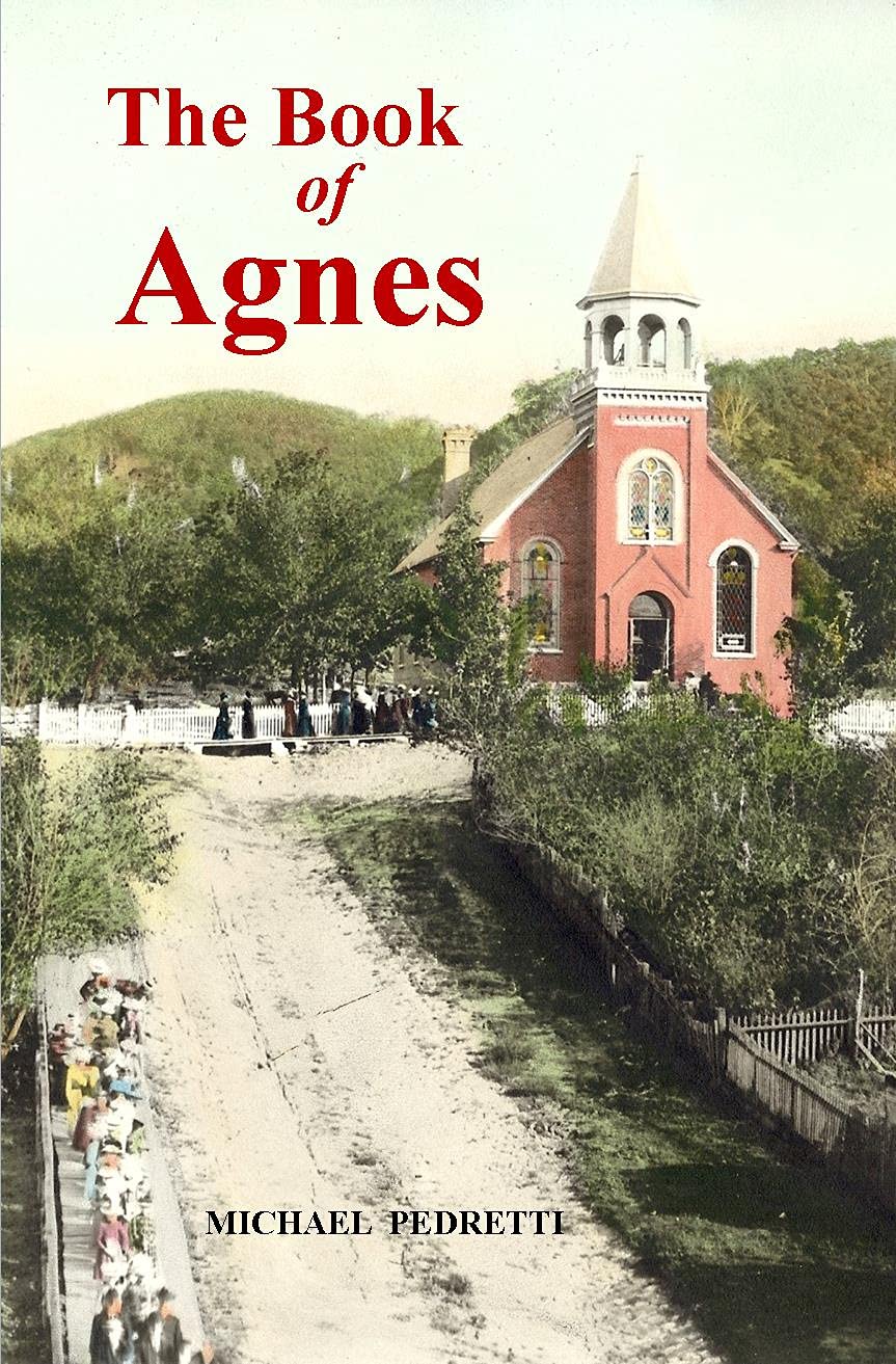 The Book of Agnes: A novel about the extraordinary life of an extra ...