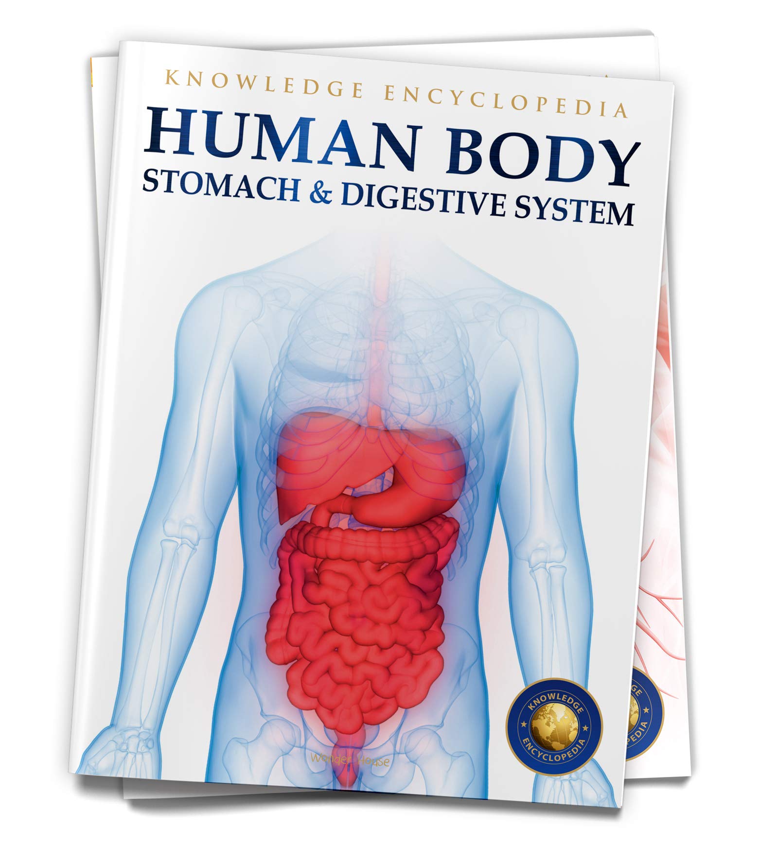 Human Body: Stomach And Digestive System by Wonder House Books | Goodreads