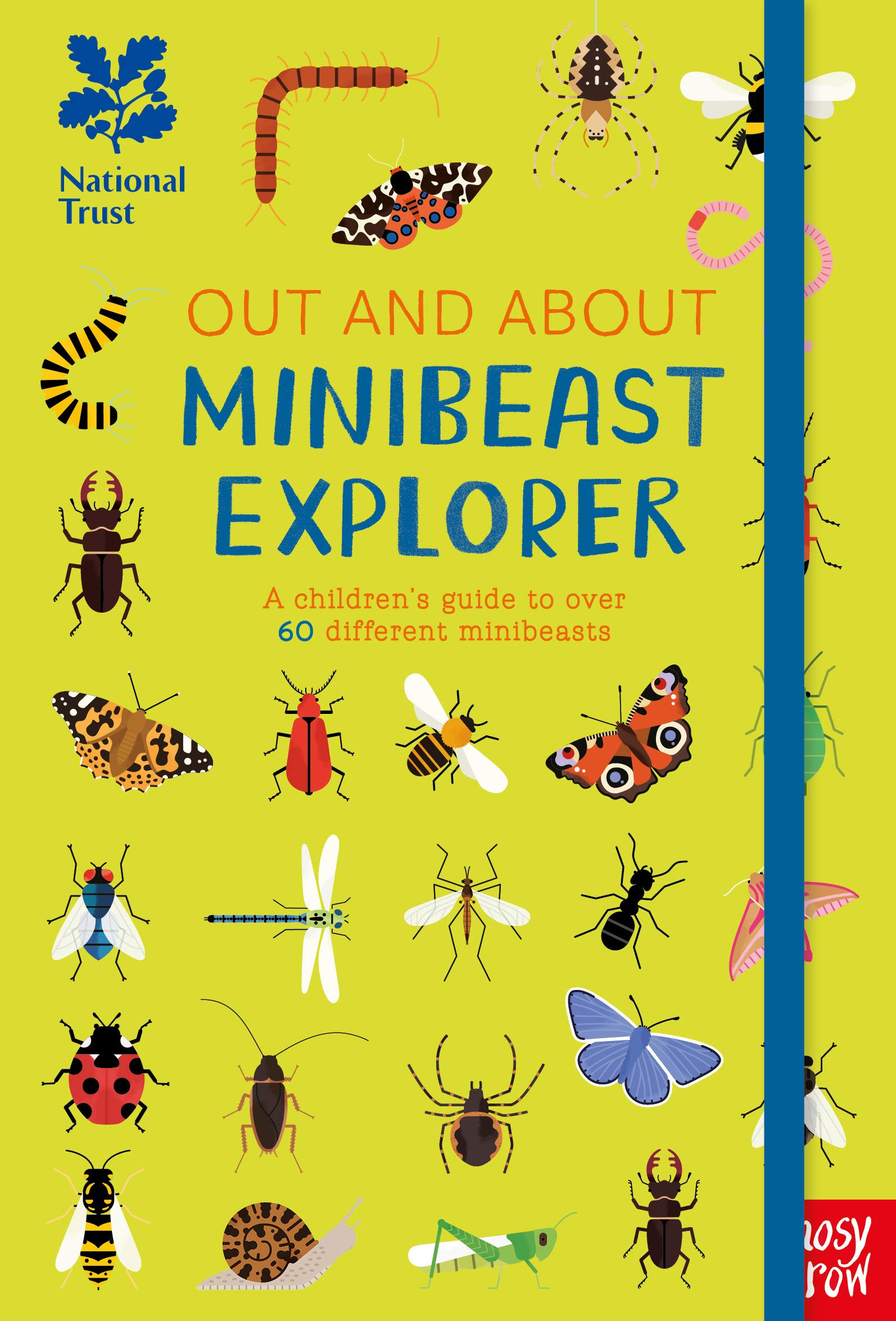 National Trust: Out and About Minibeast Explorer: A children's guide to ...