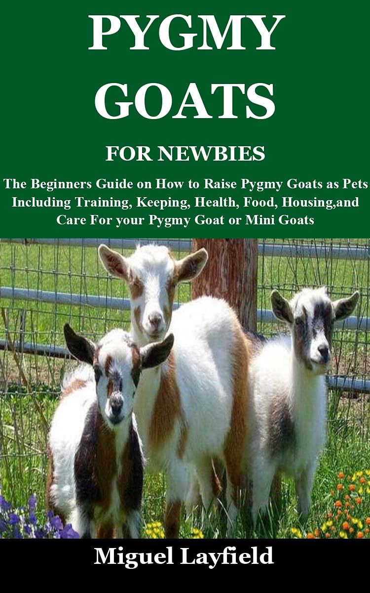 PYGMY GOATS FOR NEWBIES: The Beginners Guide on How to Raise Pygmy ...