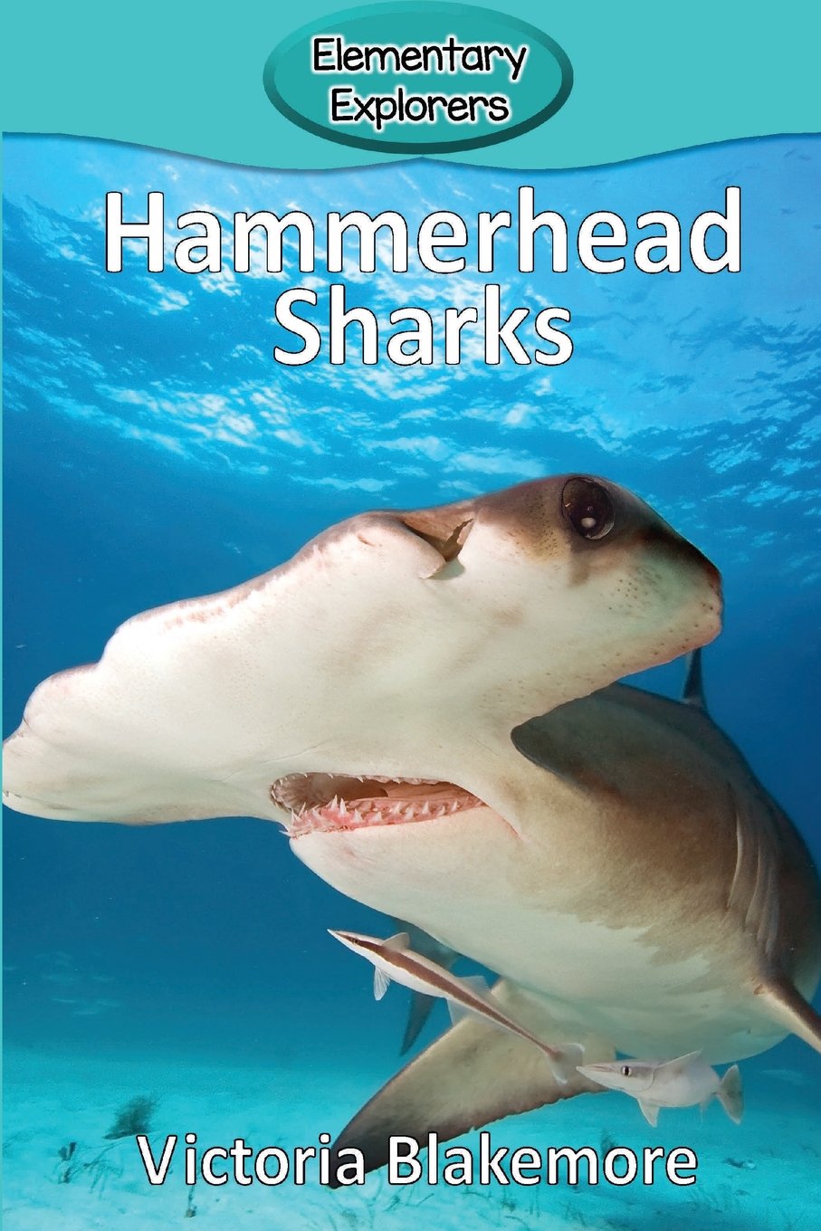 Hammerhead Sharks (Elementary Explorers) by Victoria Blakemore | Goodreads