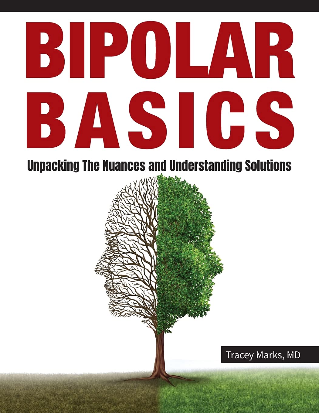 Bipolar Basics: Unpacking the Nuances and Understanding Solutions by Dr ...