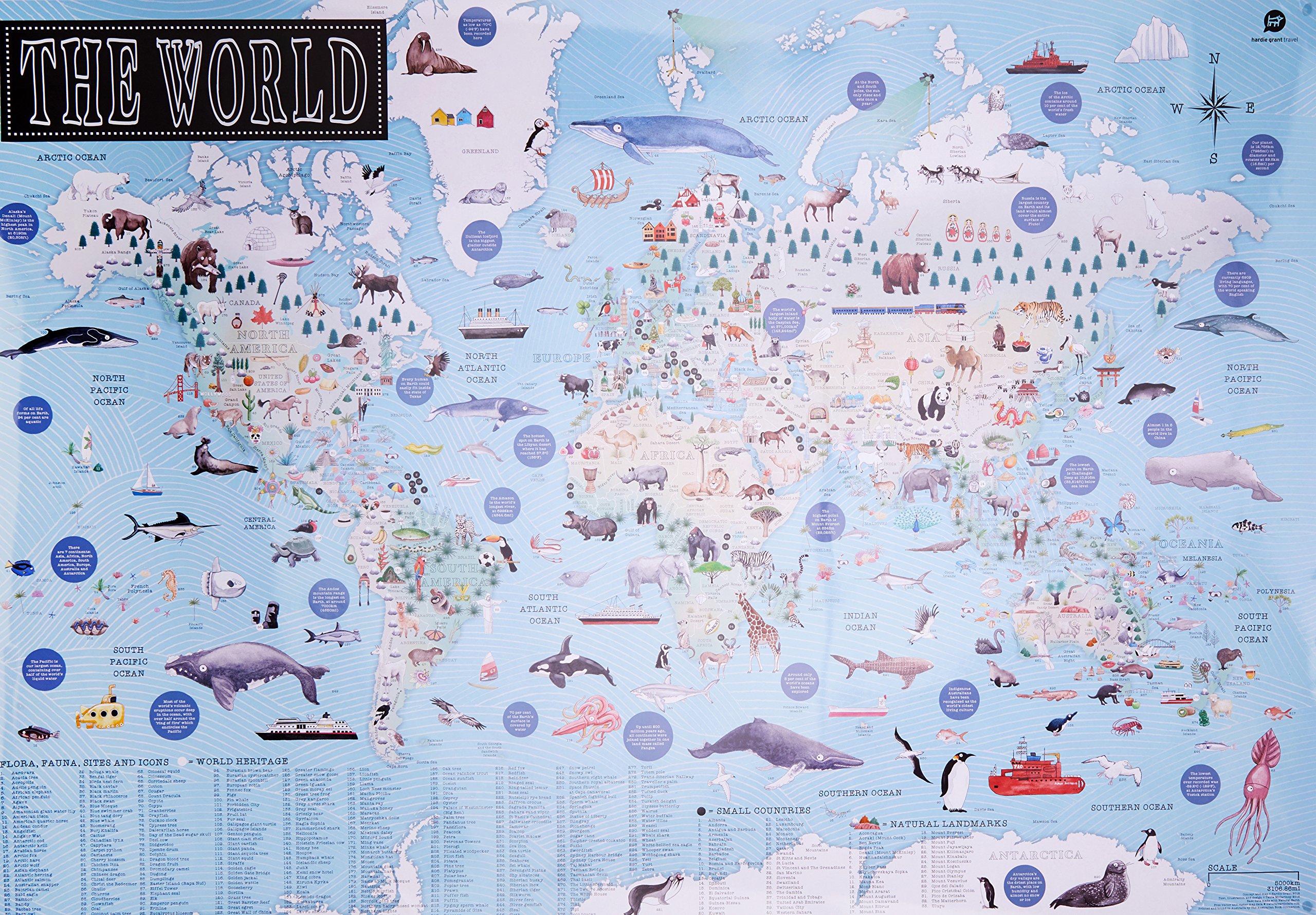 World: Illustrated Map by Tania McCartney | Goodreads