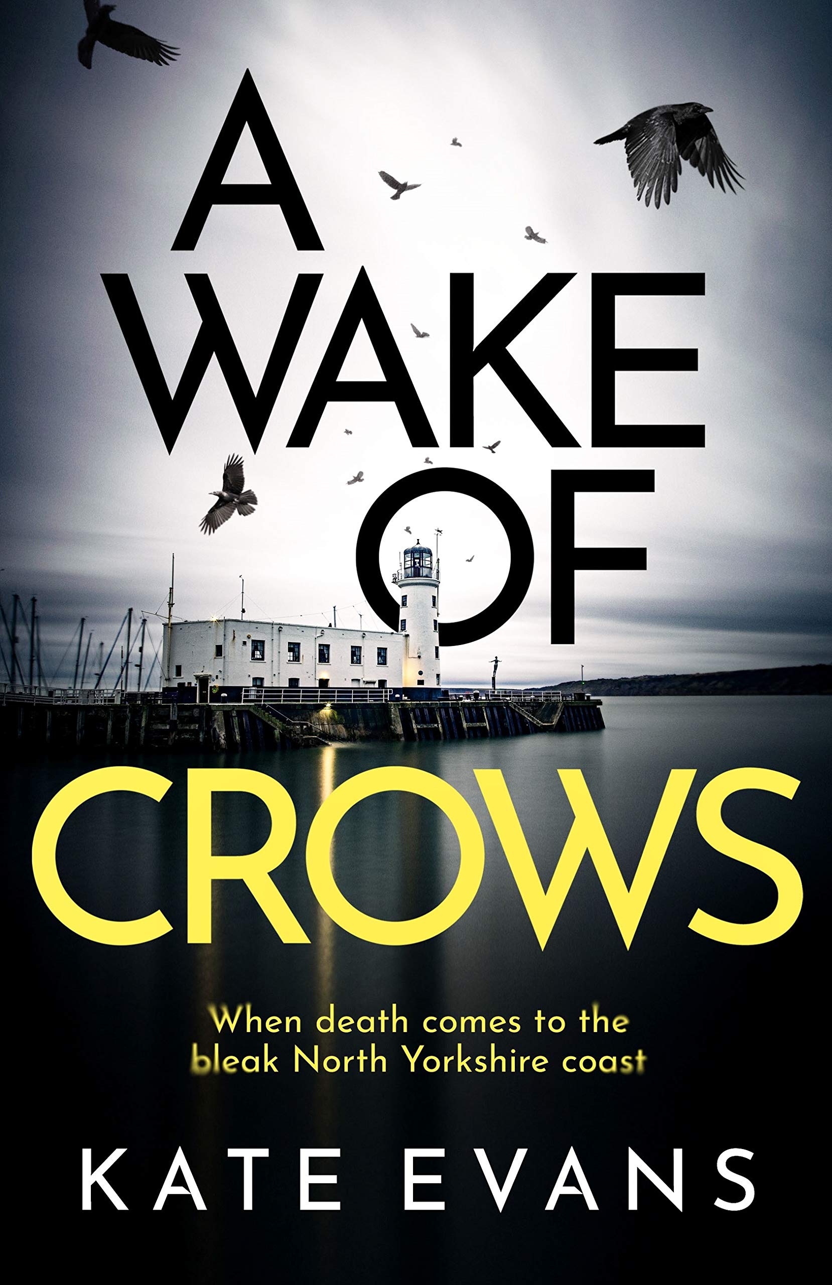 A Wake of Crows (DC Donna Morris #1) by Kate Evans | Goodreads