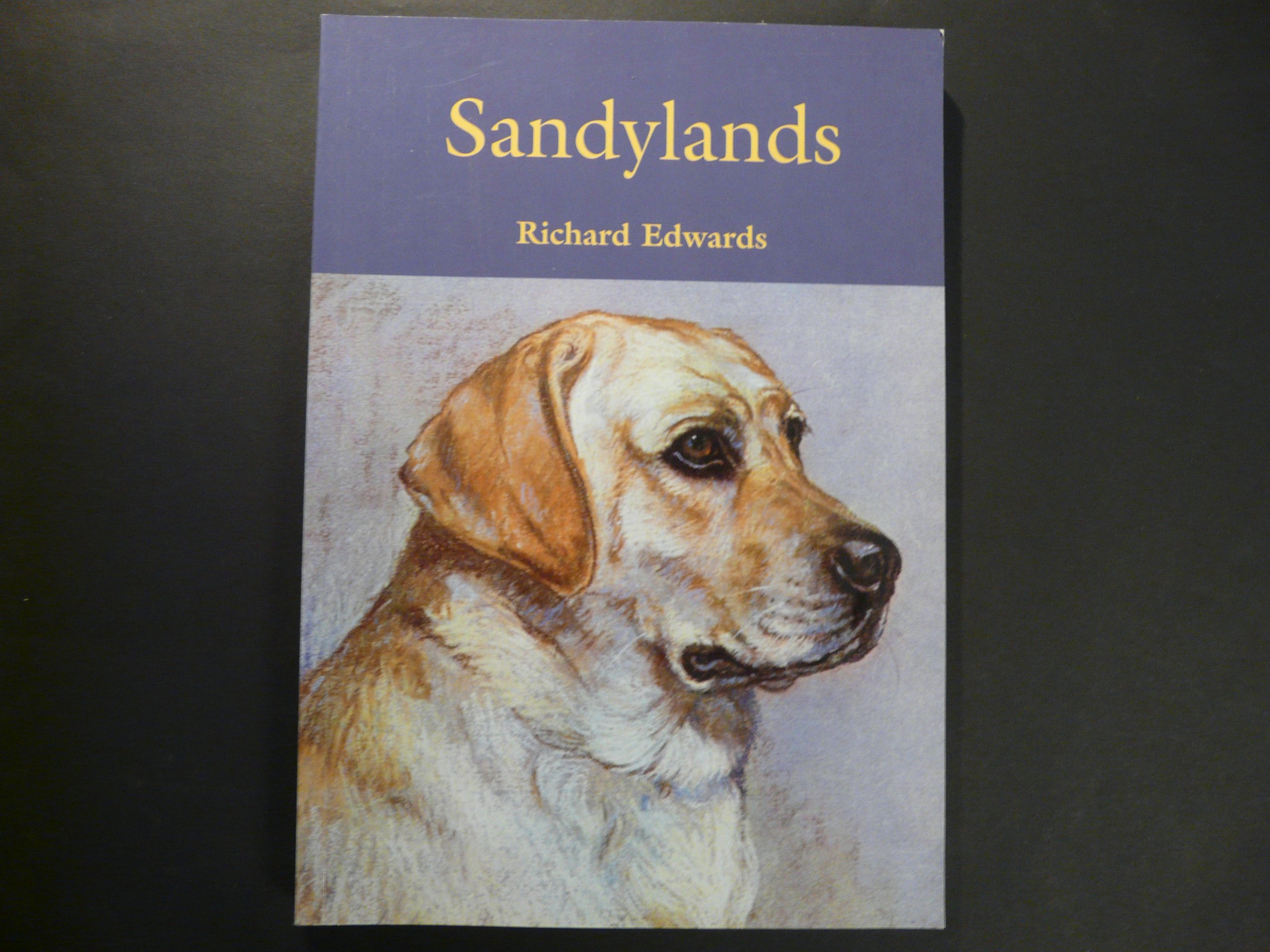 Sandylands by Richard Edwards | Goodreads