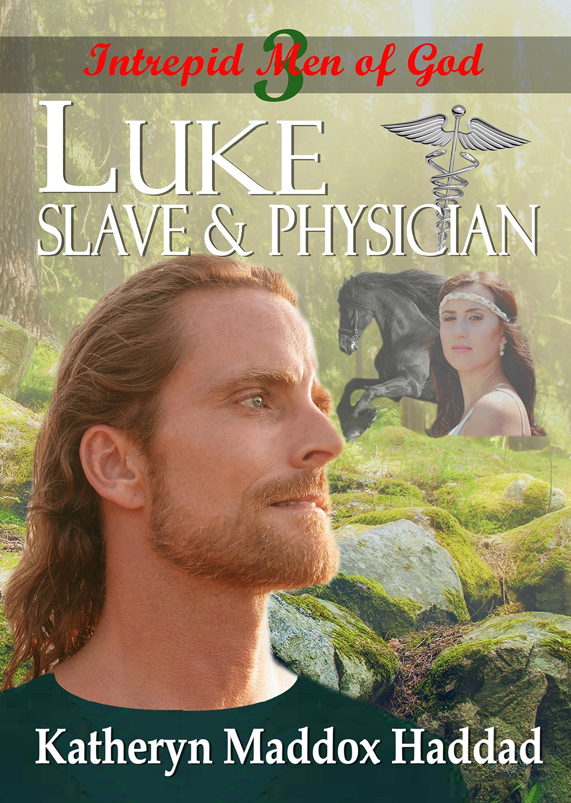 Luke: Slave & Physician by Katheryn Haddad | Goodreads
