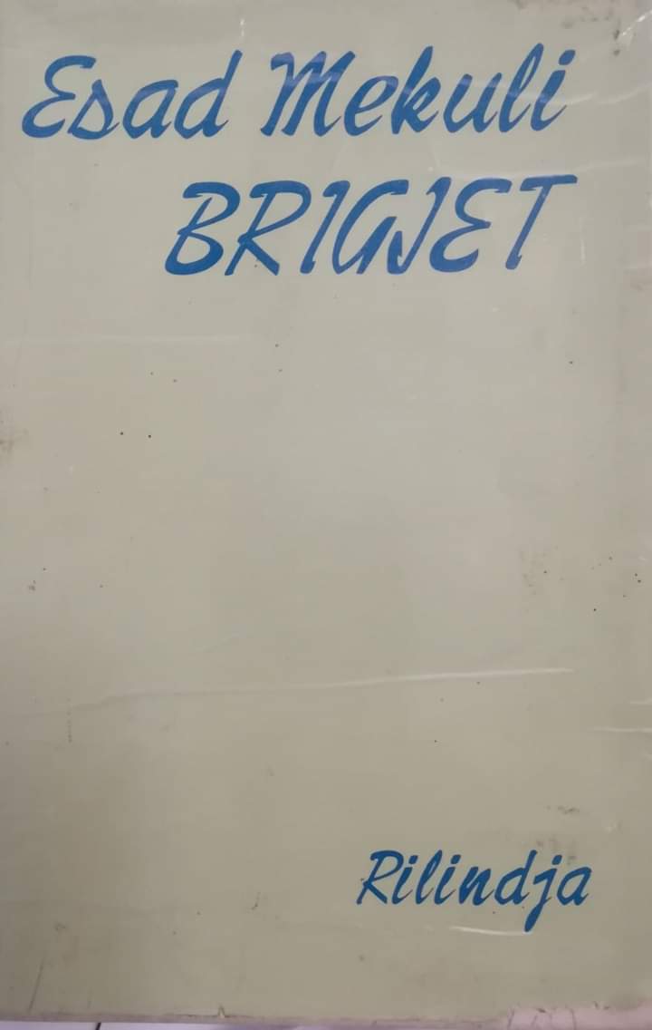 Brigjet by Esad Mekuli | Goodreads