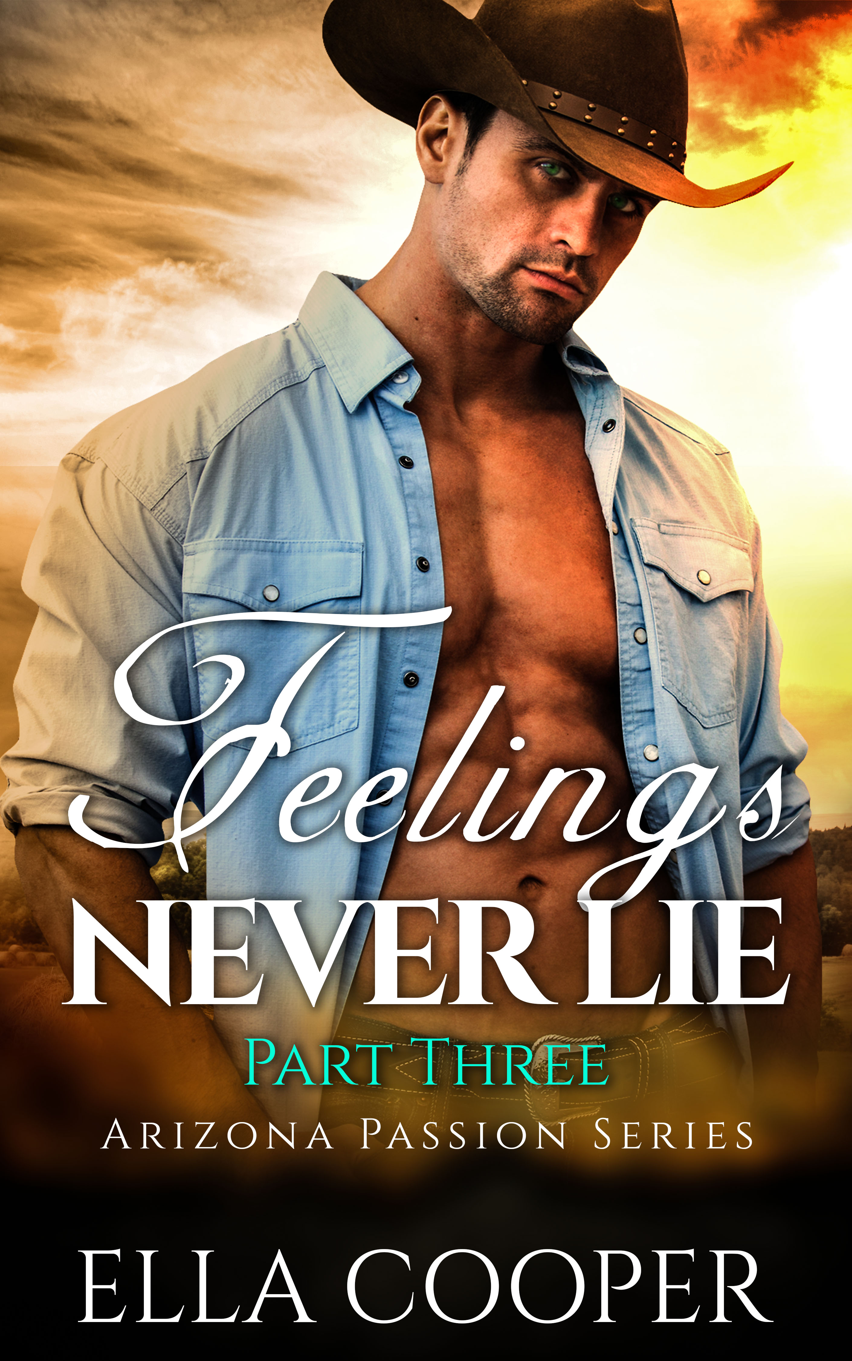 Feelings Never Lie, Part Three (Arizona Passion, #3) by Ella Cooper ...