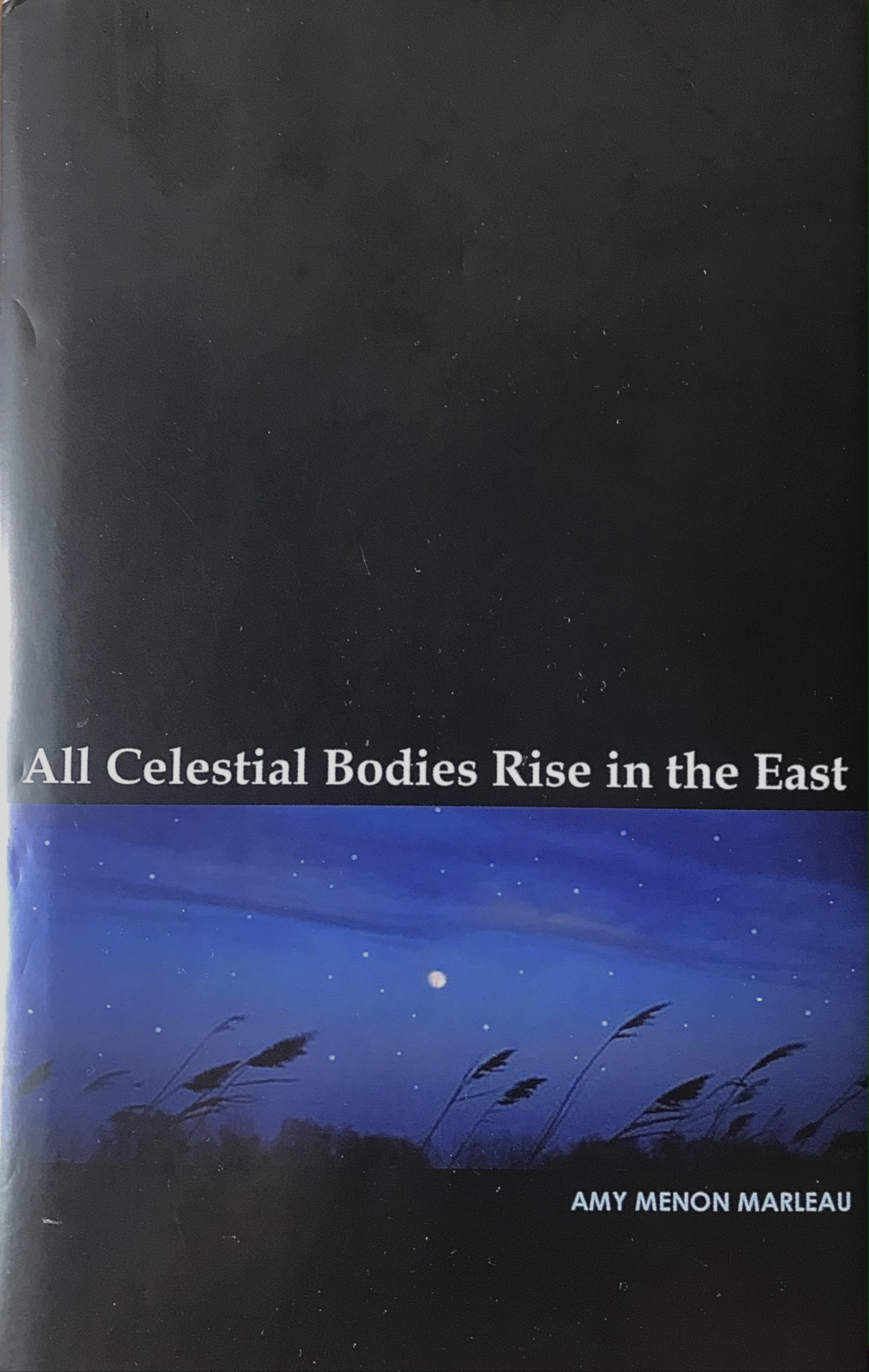 All Celestial Bodies Rise in the East by Amy Menon Marleau | Goodreads