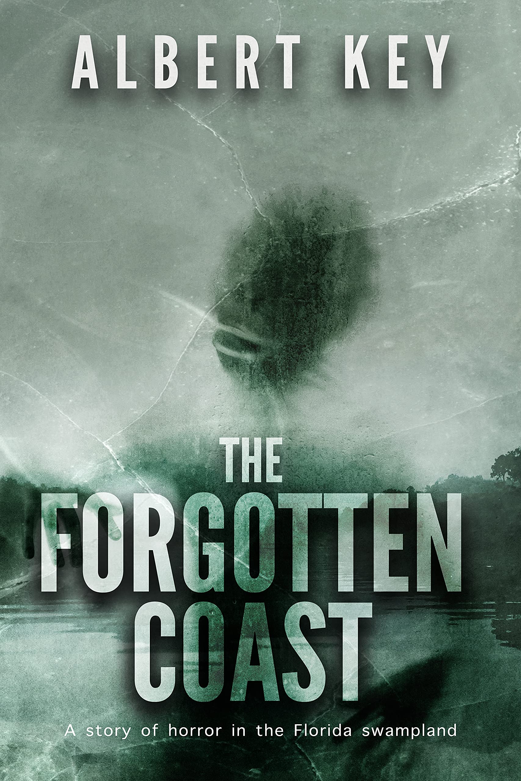 The Forgotten Coast by Albert Key | Goodreads