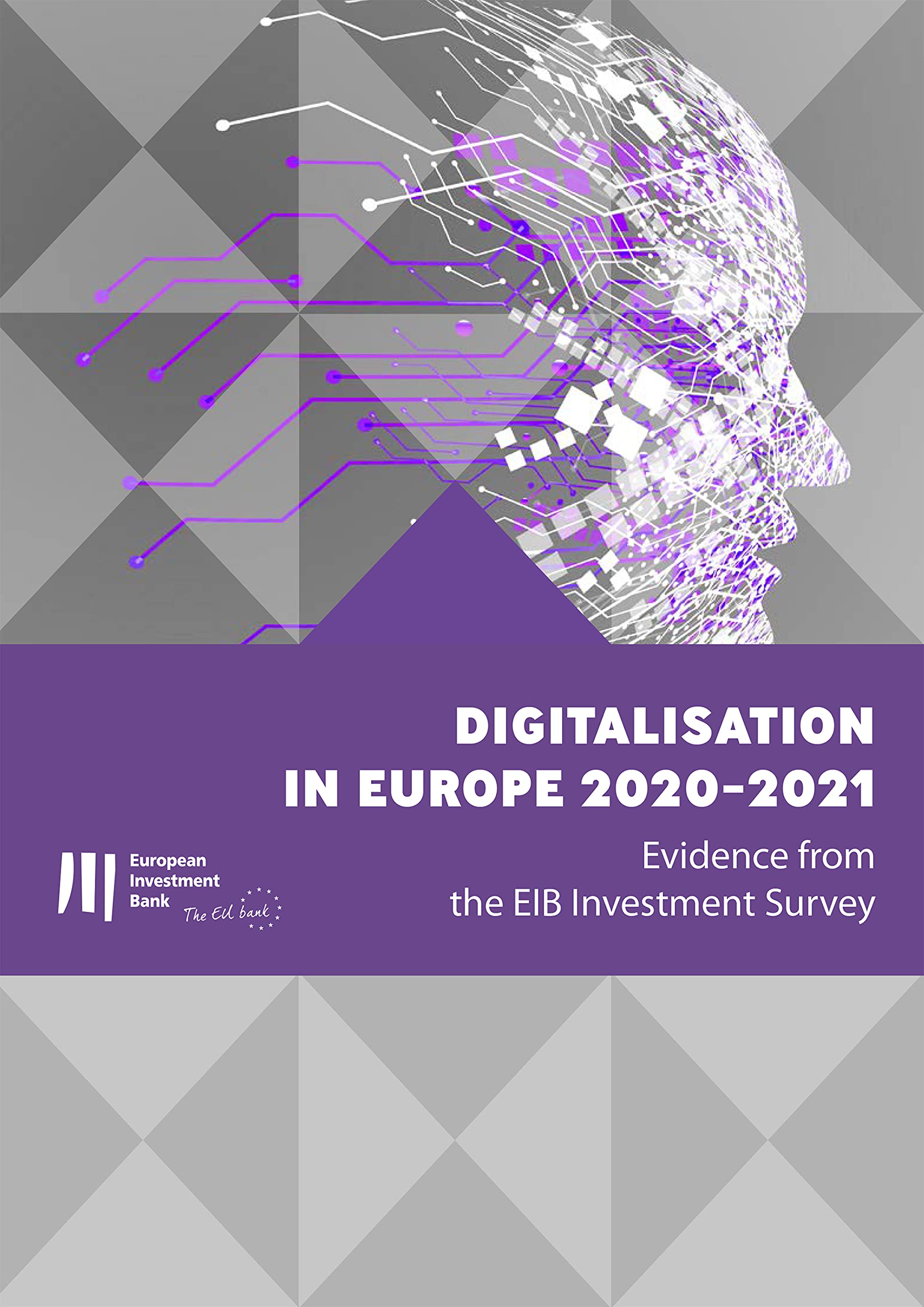 Digitalisation in Europe 2020-2021: Evidence from the EIB Investment ...
