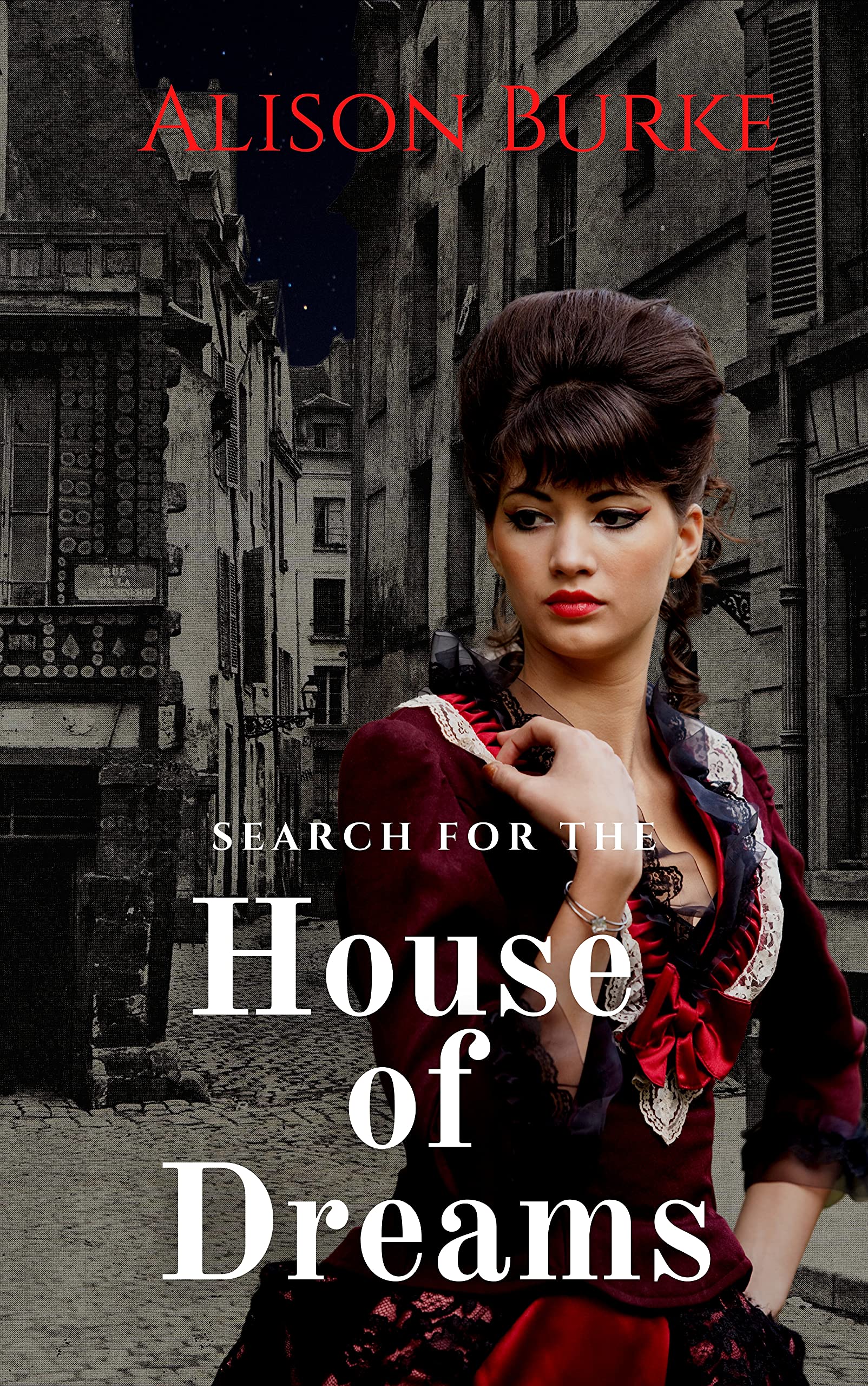 Search For The House Of Dreams By Alison Burke Goodreads