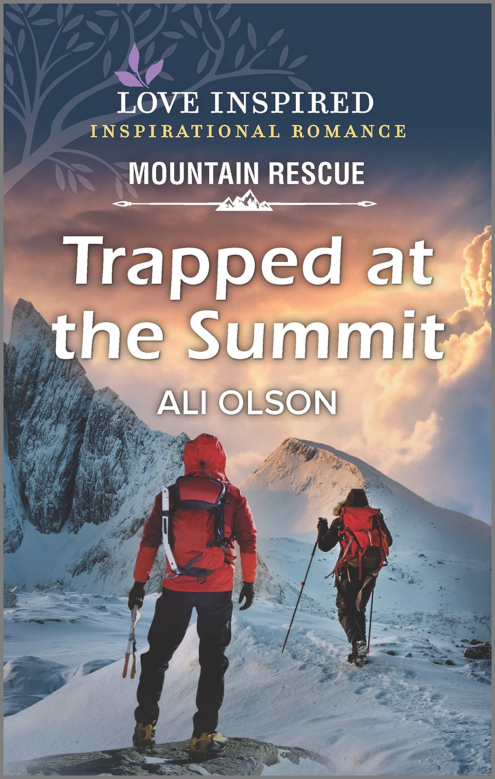 Trapped at the Summit by Ali Olson | Goodreads
