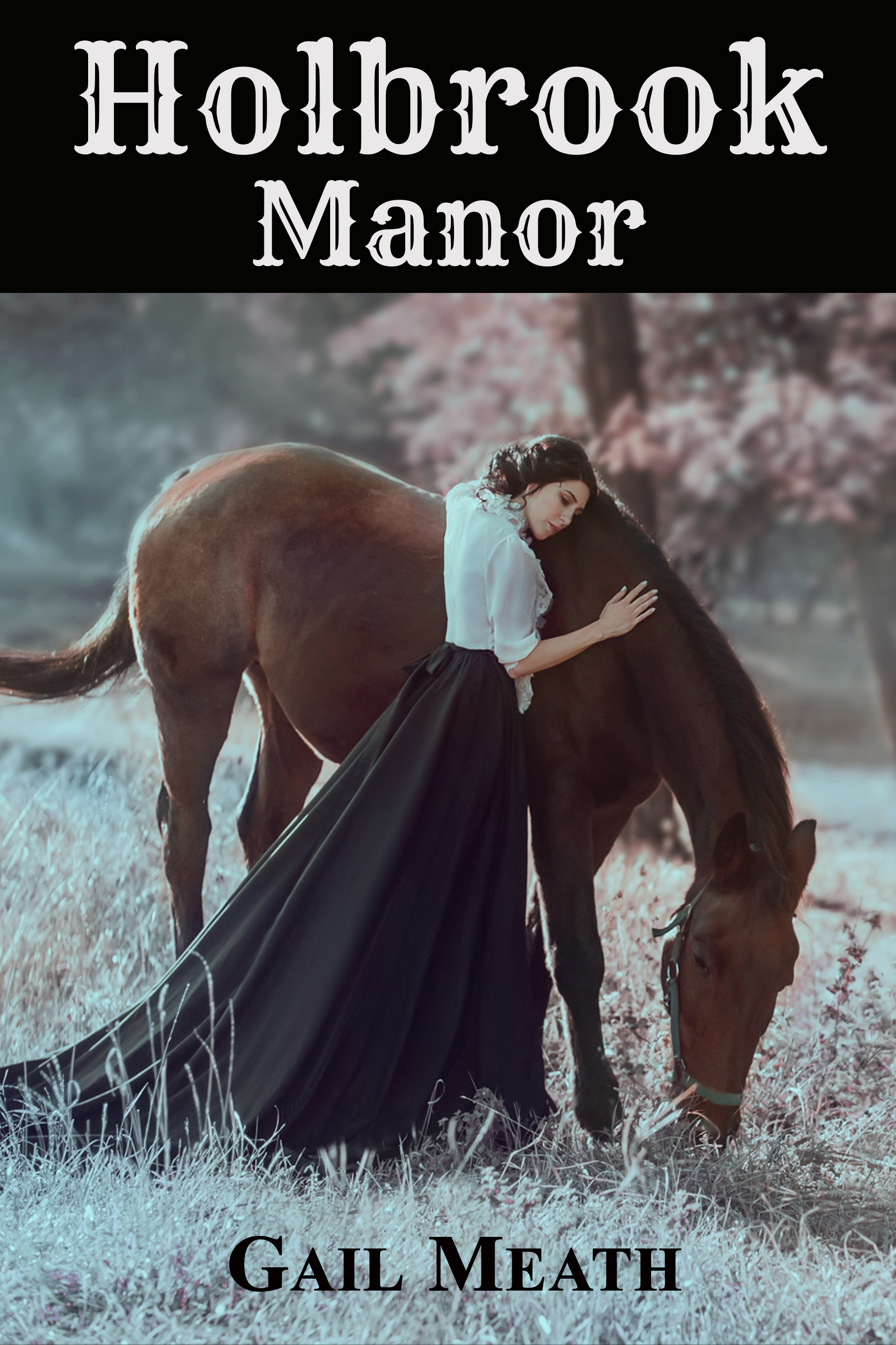 Holbrook Manor by Gail Meath | Goodreads