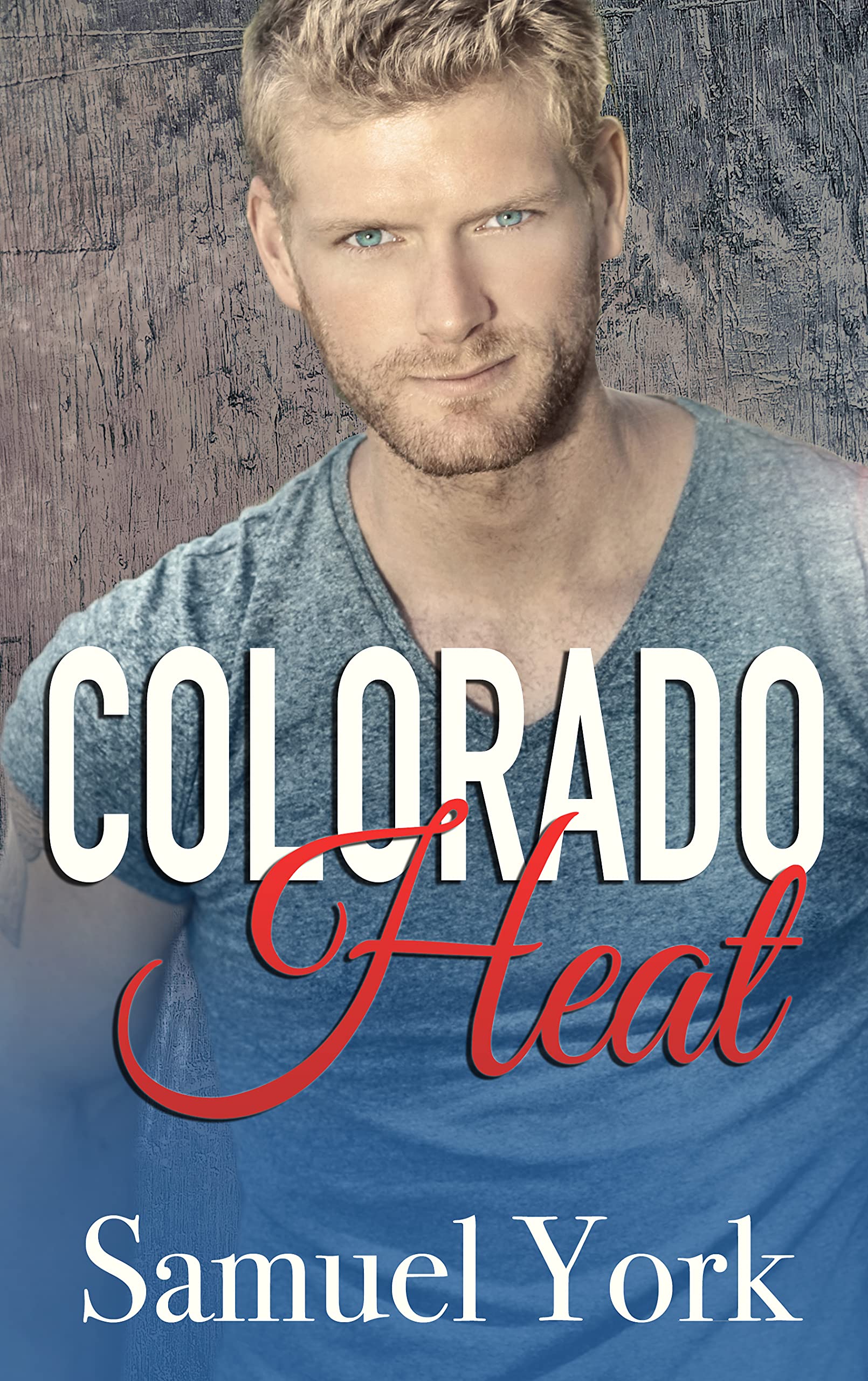 Colorado Heat (Colorado Protectors #8) by Sara York | Goodreads