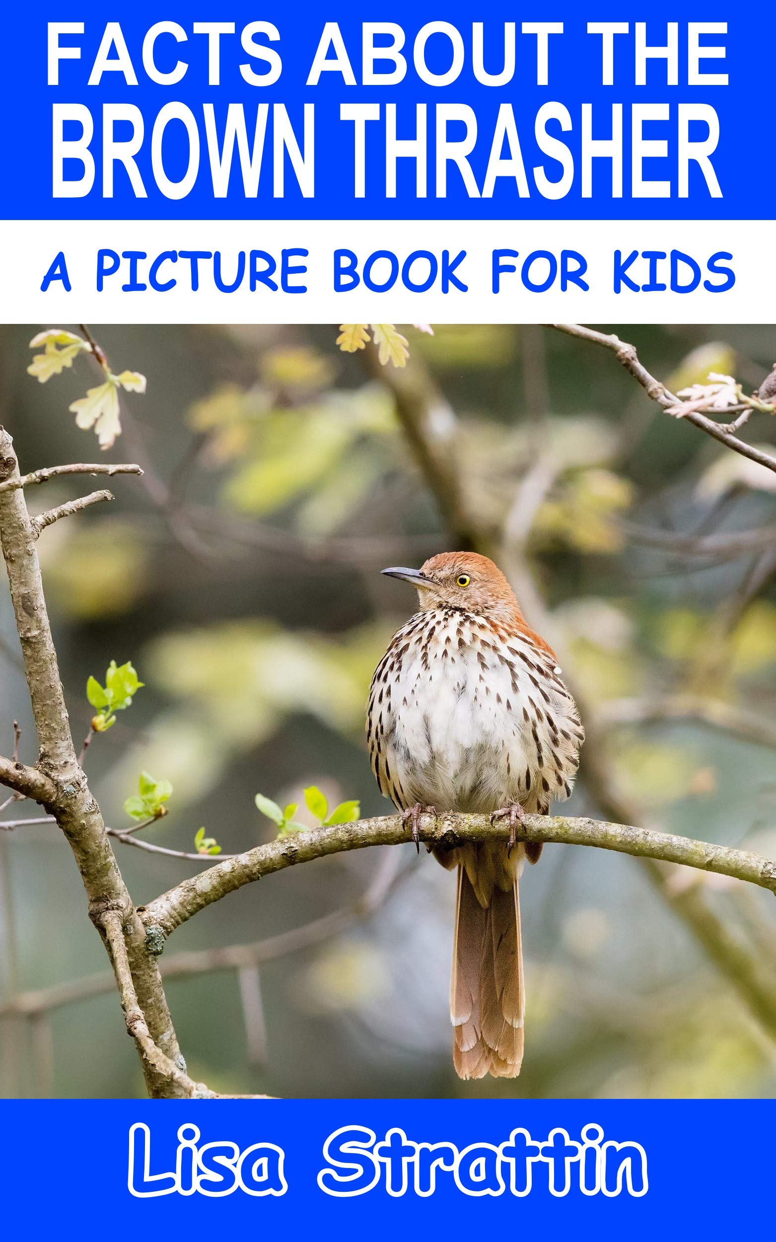 Facts About the Brown Thrasher by Lisa Strattin | Goodreads