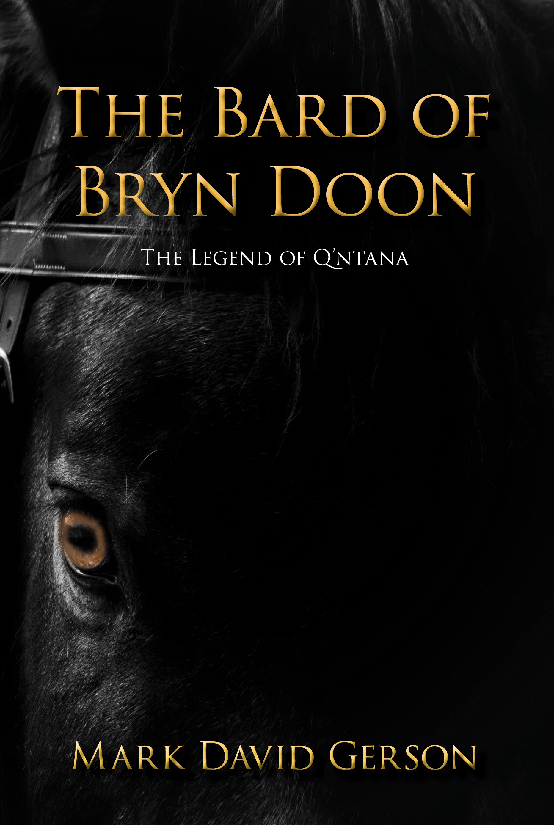 The Bard of Bryn Doon by Mark David Gerson | Goodreads
