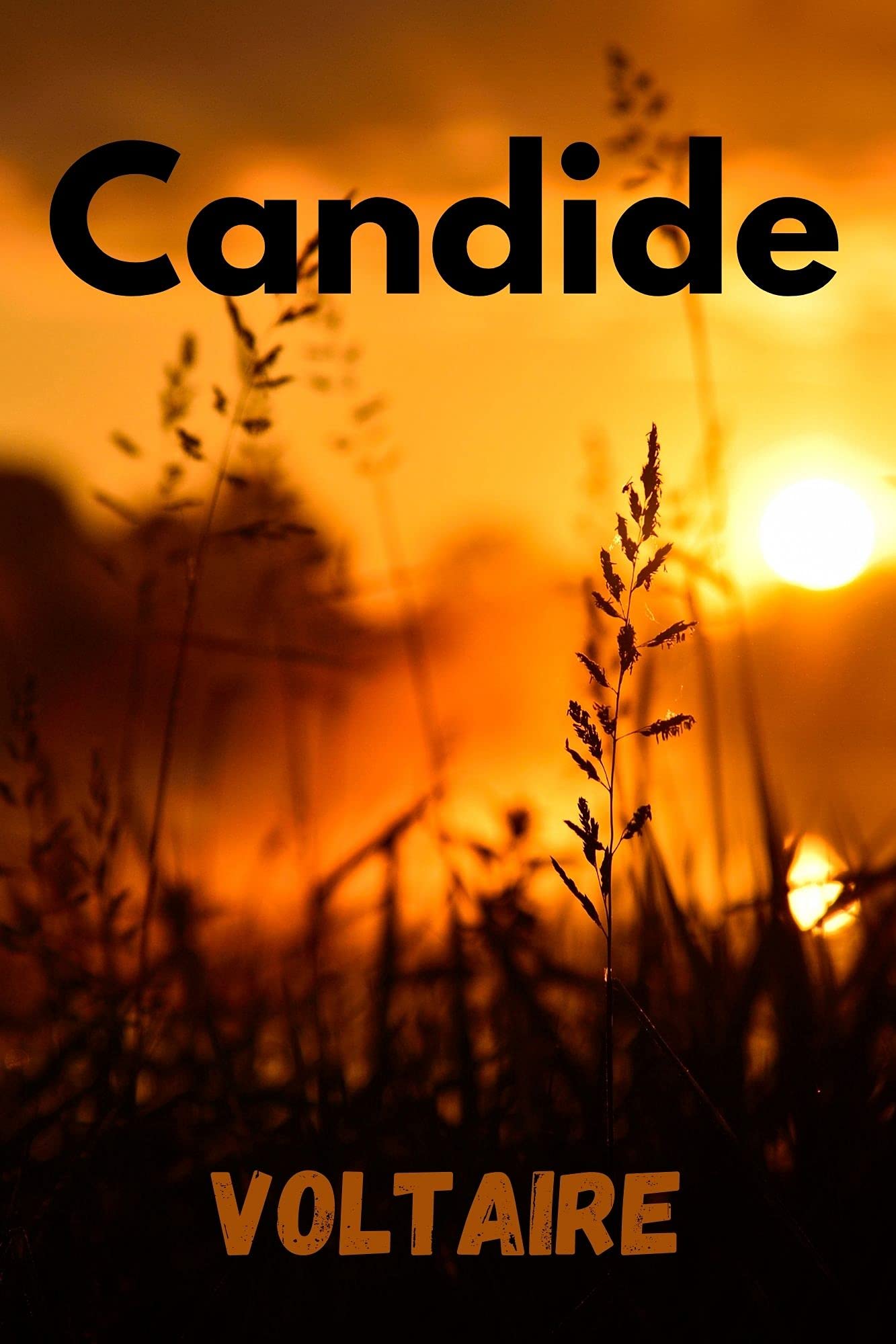 Candide: Annotated by Voltaire | Goodreads