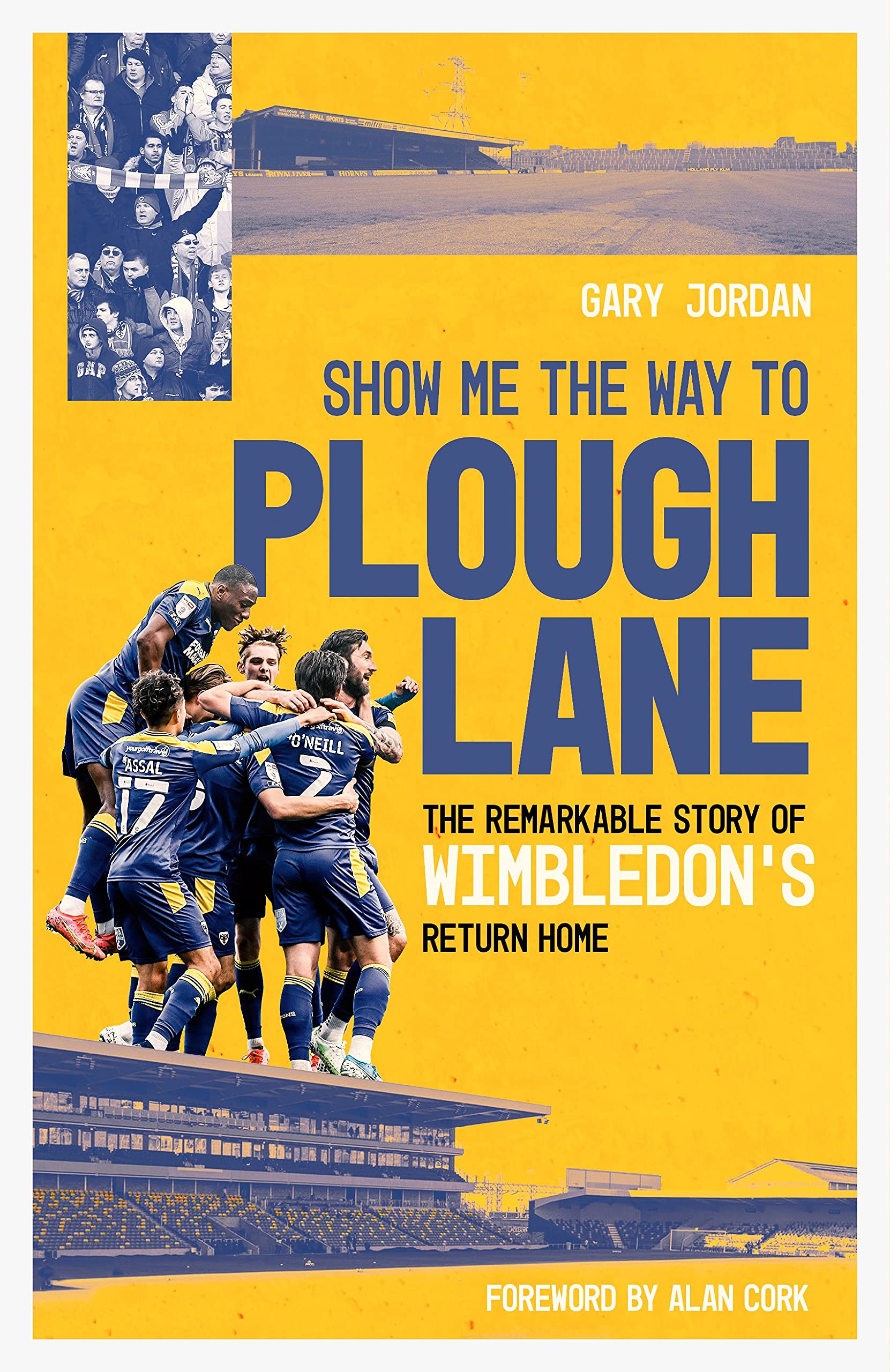 Show Me the Way to Plough Lane: The Remarkable Story of Wimbledon FC's ...